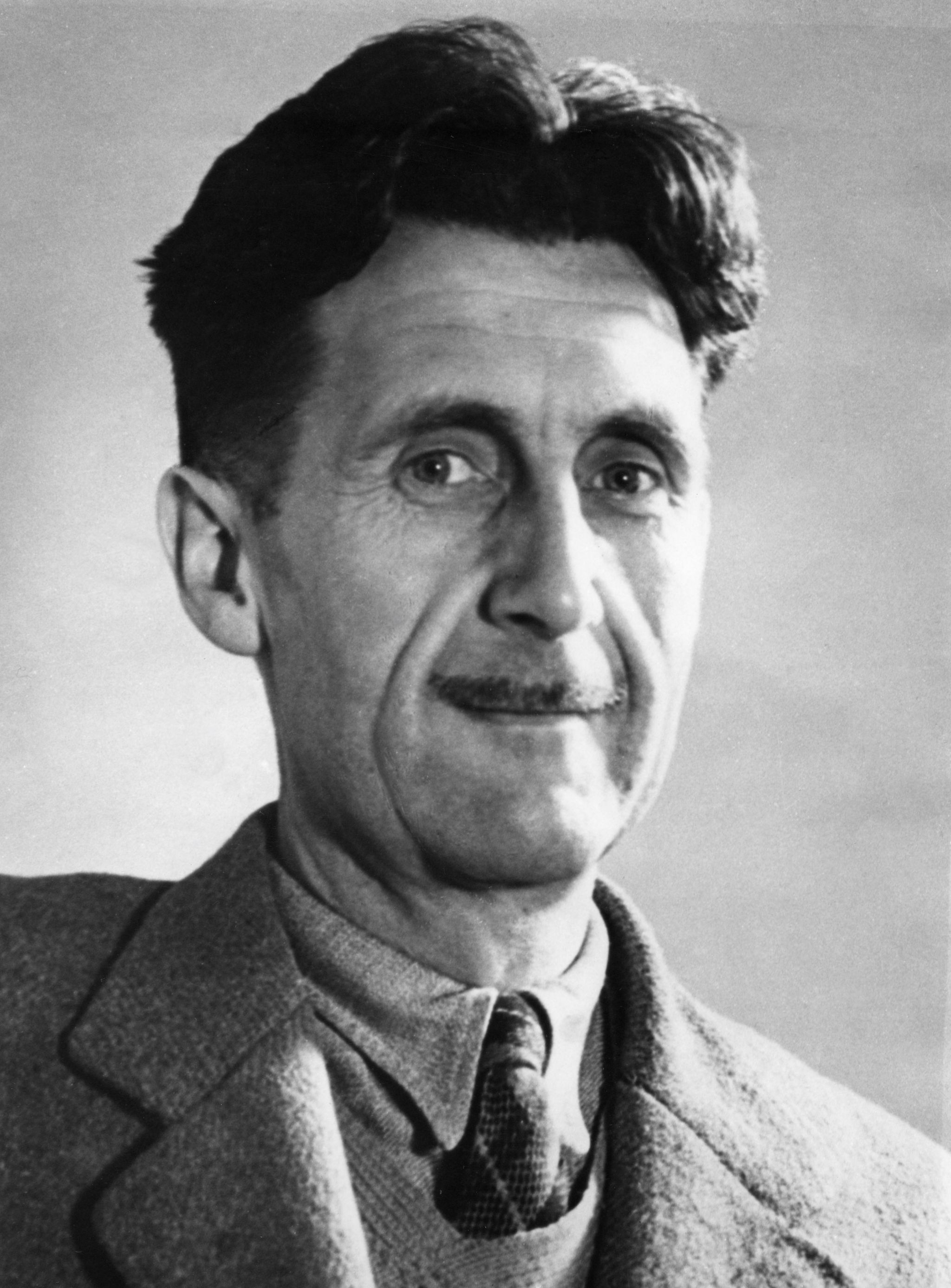 George Orwell's 1984: Artist collects 1,984 copies of book on ...
