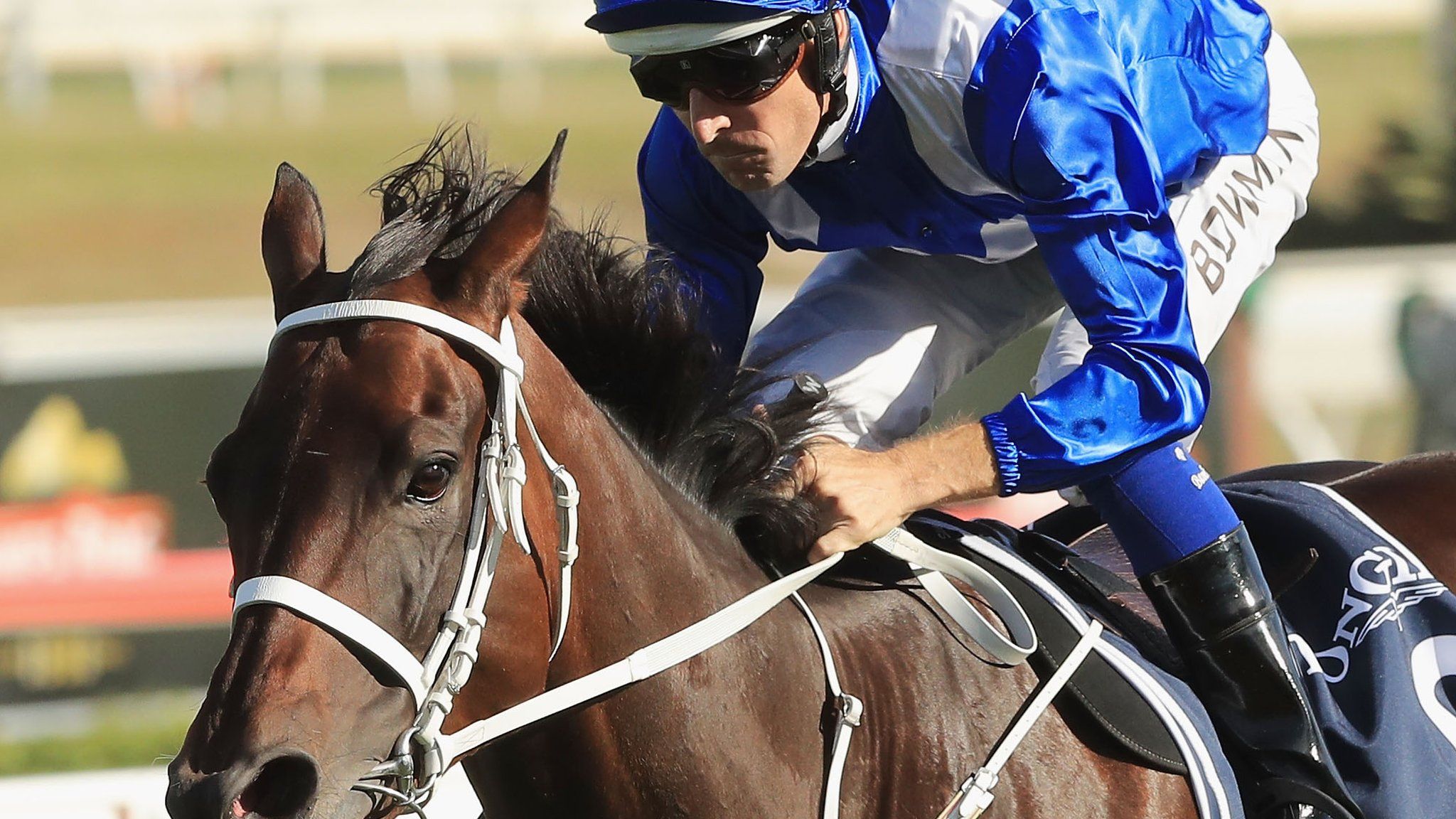 Winx makes history with 26th consecutive victory - BBC Sport