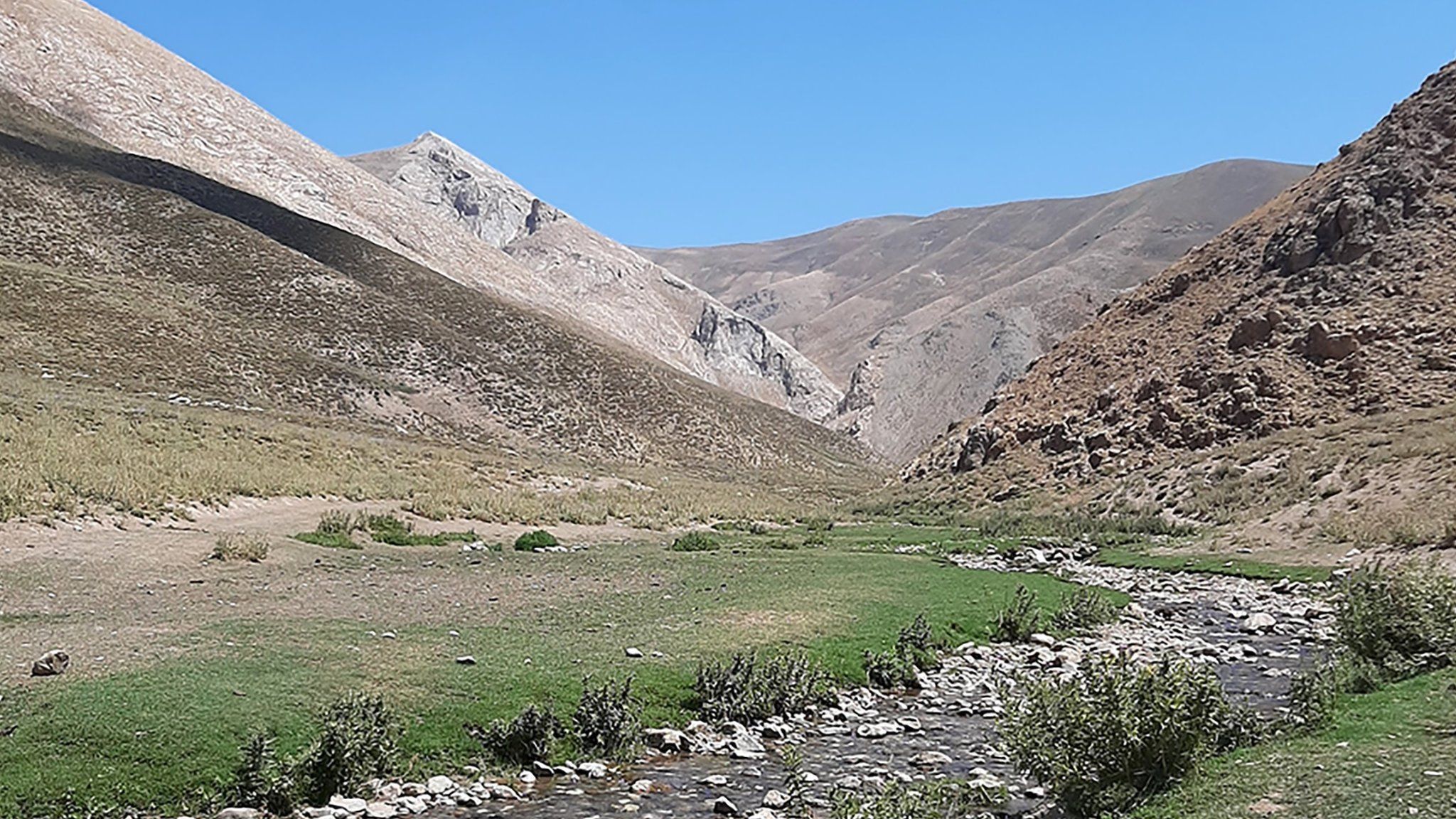 Two new types of mole unearthed in Turkey - BBC Newsround