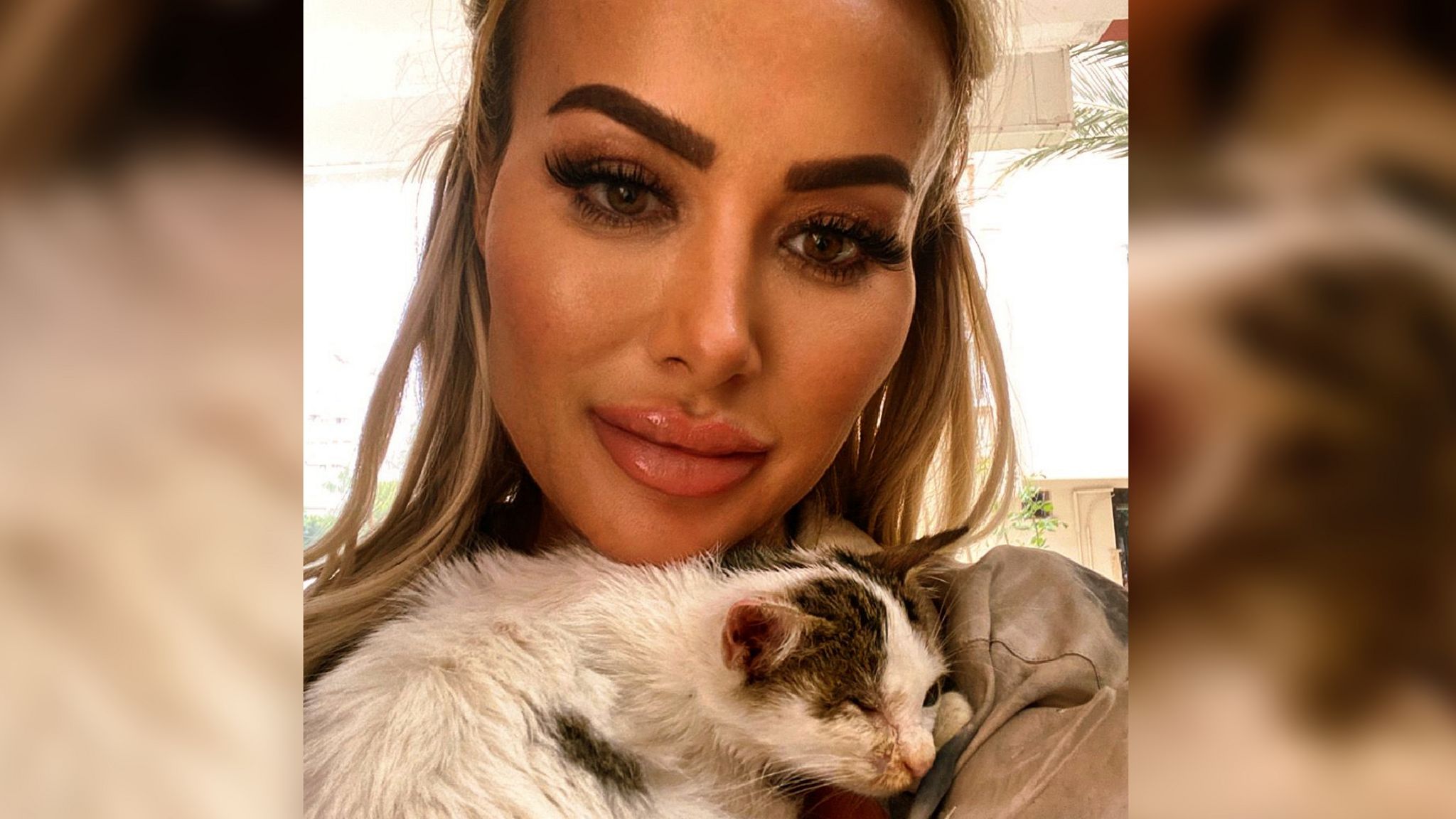 Barnsley cat lover's £12k house deposit spent on saving strays - BBC News