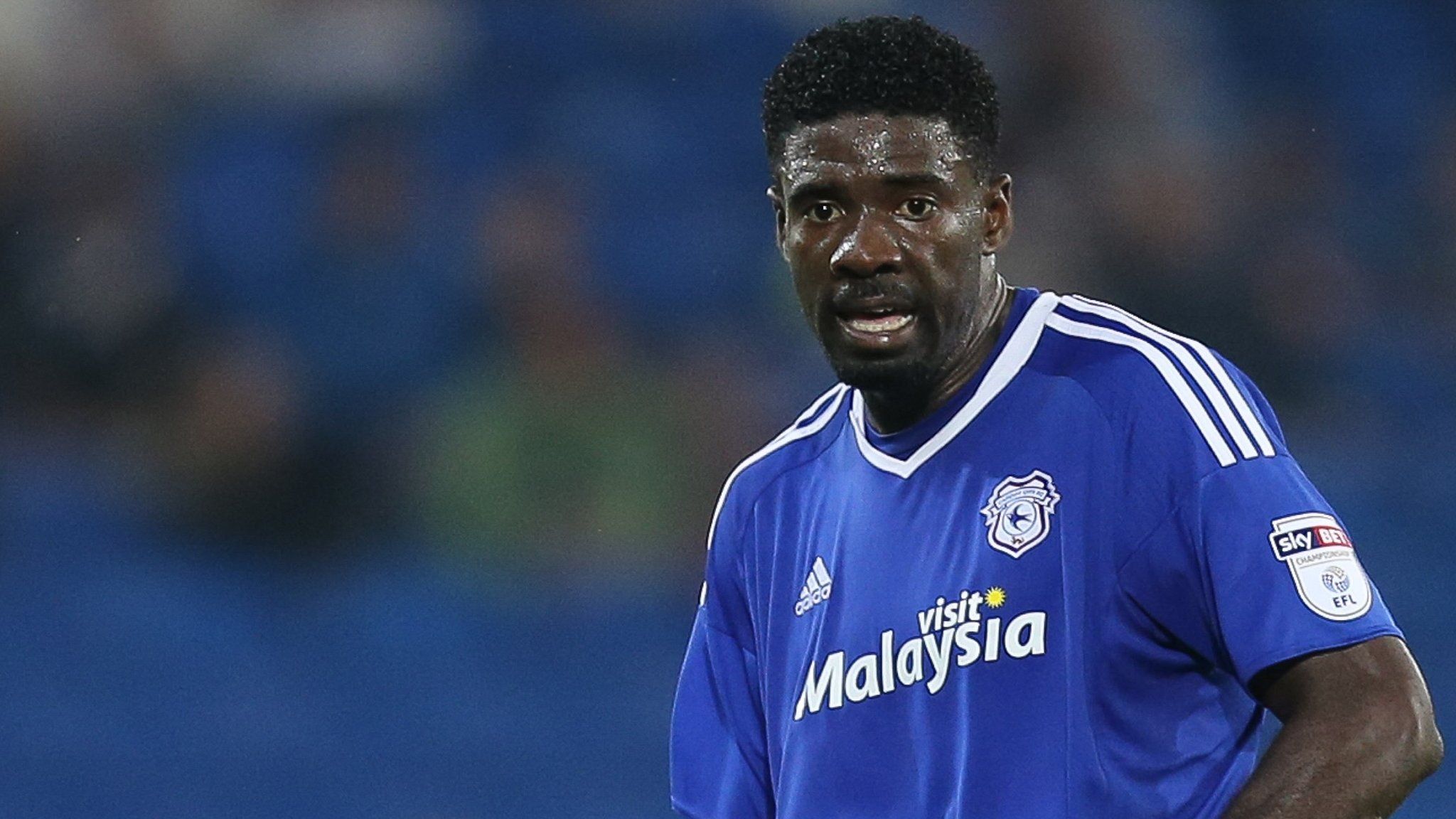 Peter Whittingham: Cardiff City midfielder set for new contract talks ...