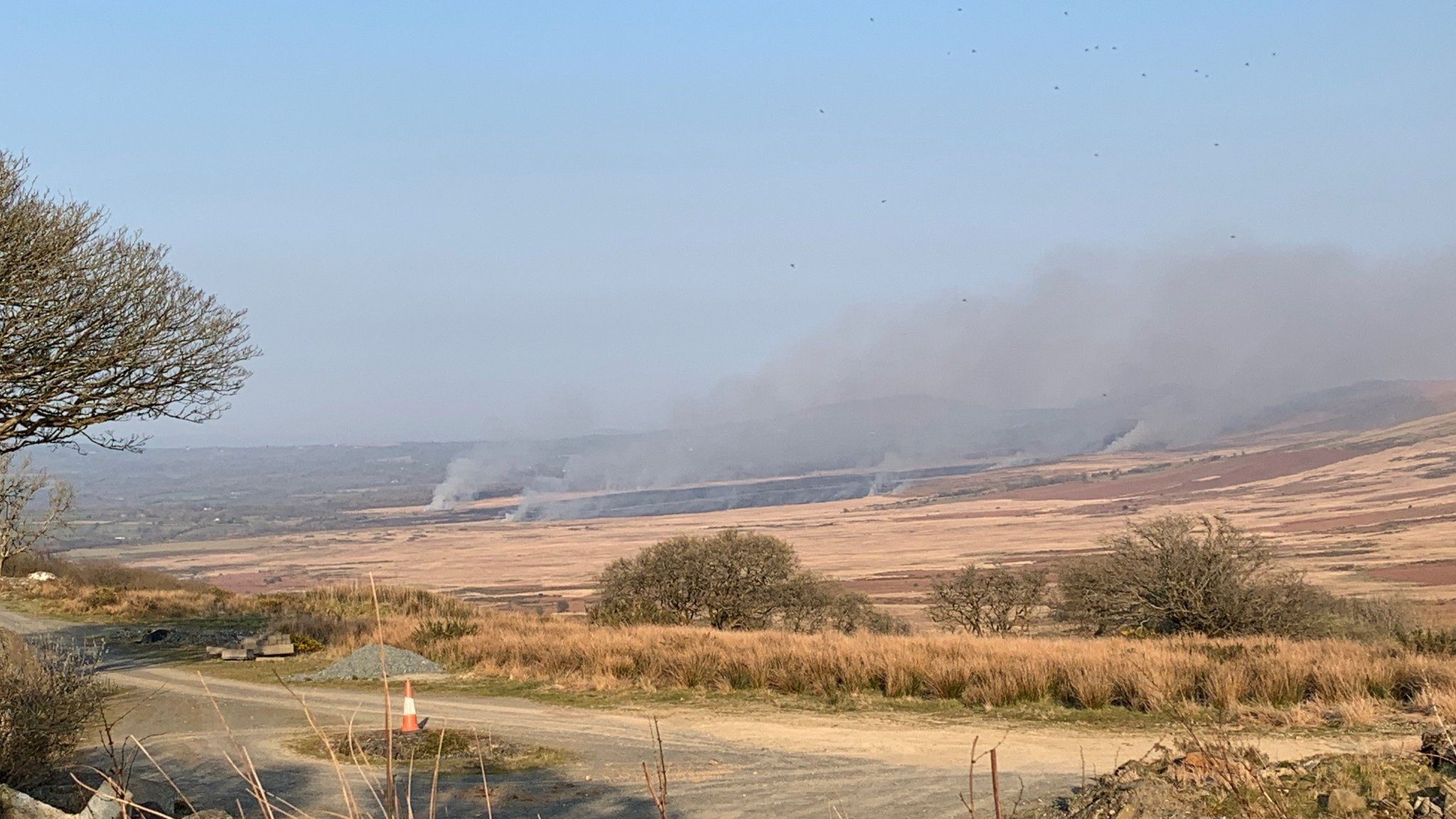 Gwasanaeth Tan: Gofal wrth gynnau tanau dan reolaeth - BBC Cymru Fyw