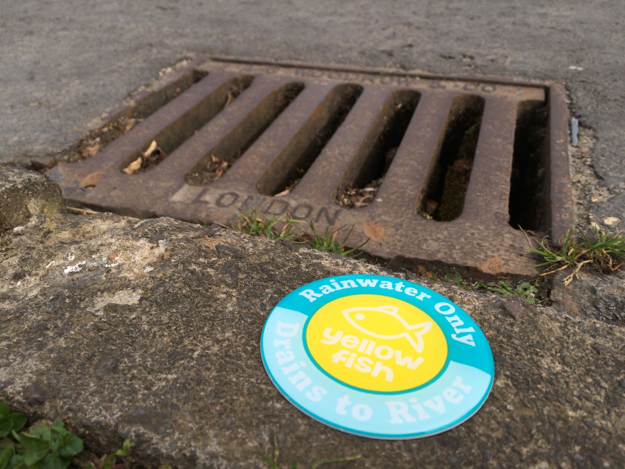 River Kennet warning over storm drain waste disposal - BBC News