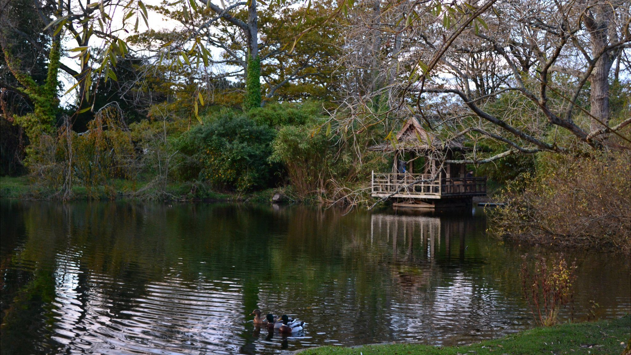 Japanese pavilion in Guernsey reopened with accessibility features ...