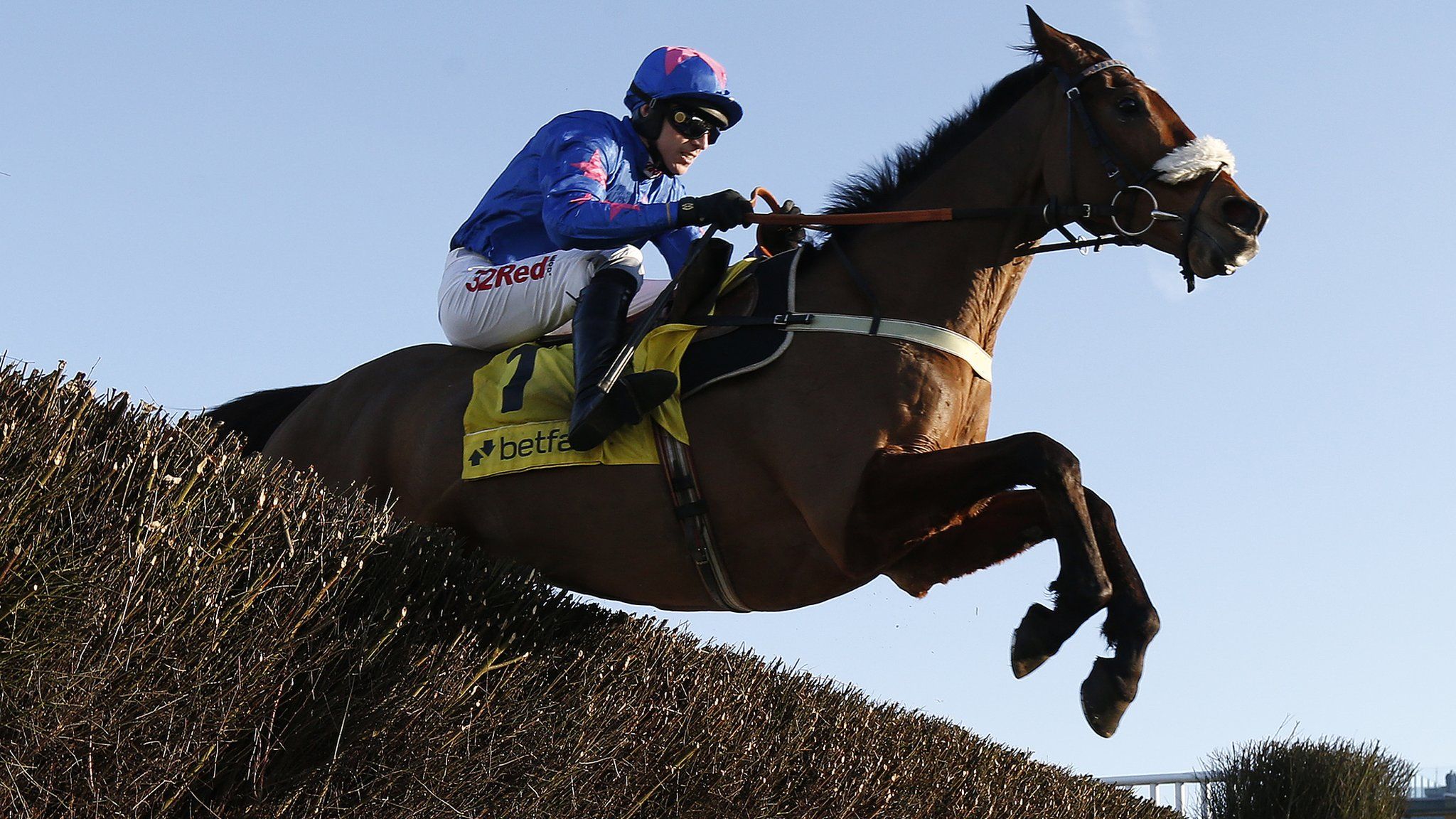 Cue Card: Colin Tizzard-trained horse is retired - BBC Sport