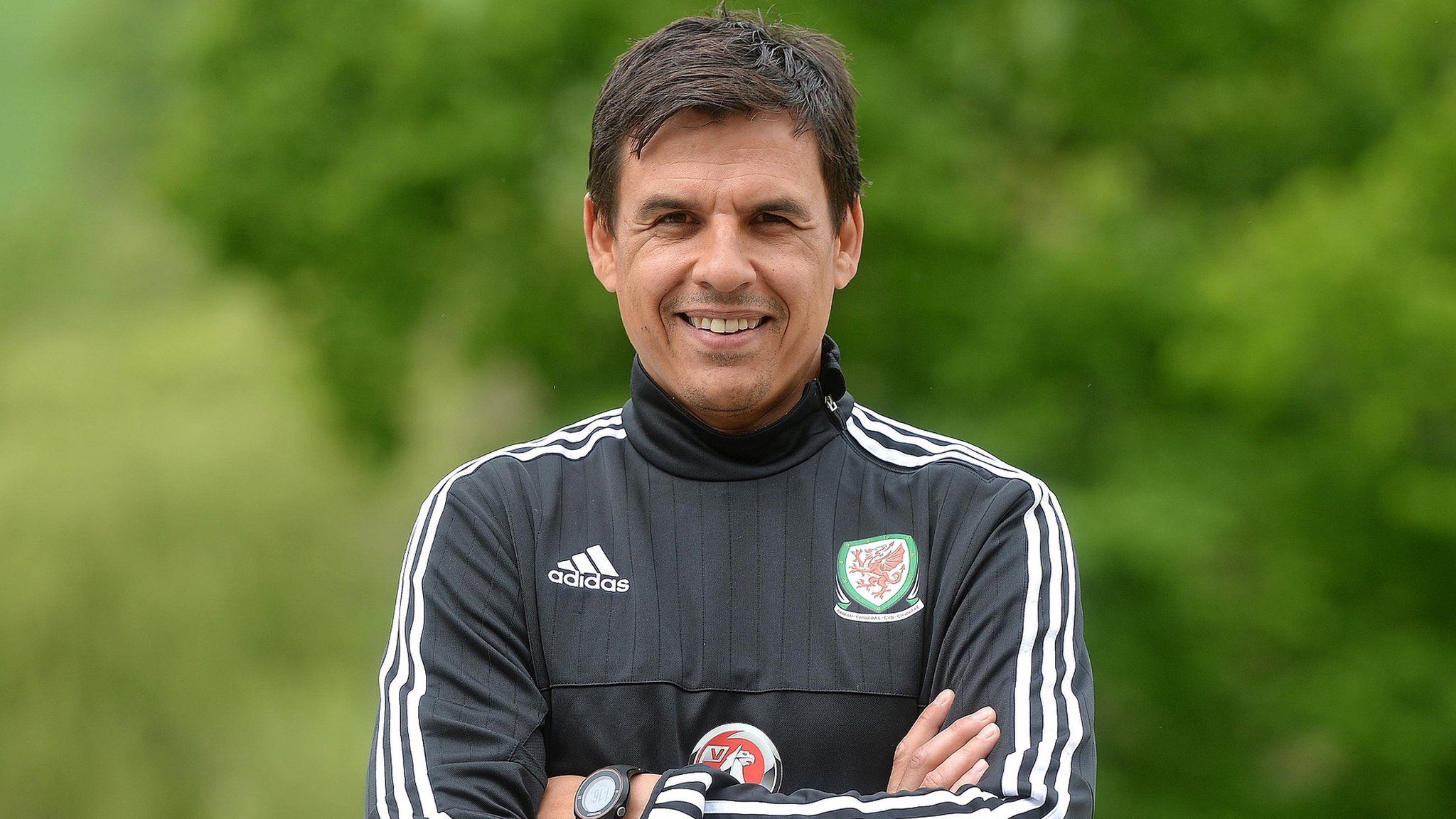 Chris Coleman offered freedom of home city, Swansea - BBC News