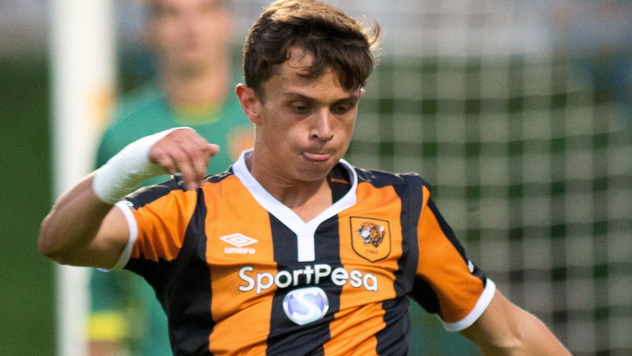 Johan ter Horst: Maidstone United sign former Hull City striker - BBC Sport