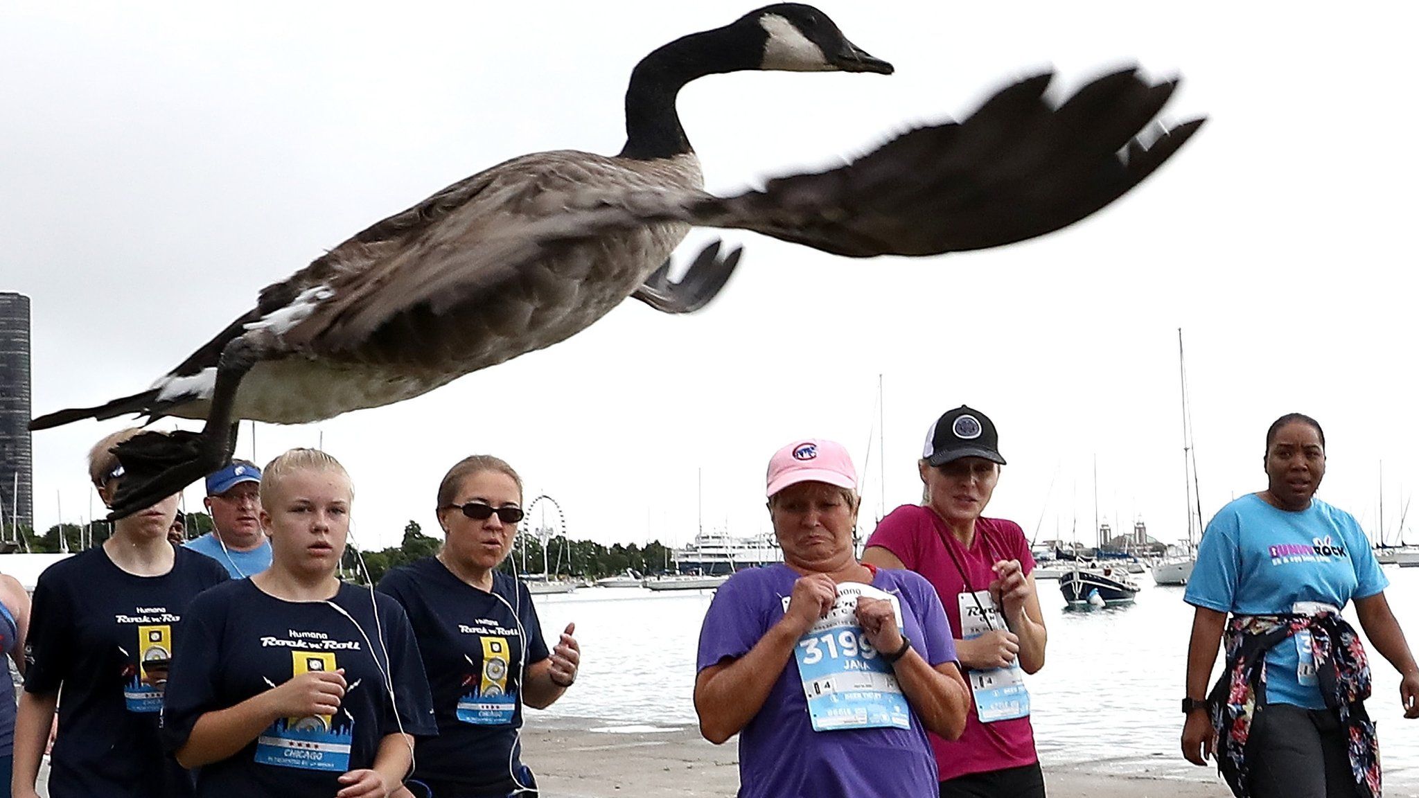 World sport: 10 photos we liked this week: 16-22 July - BBC Sport