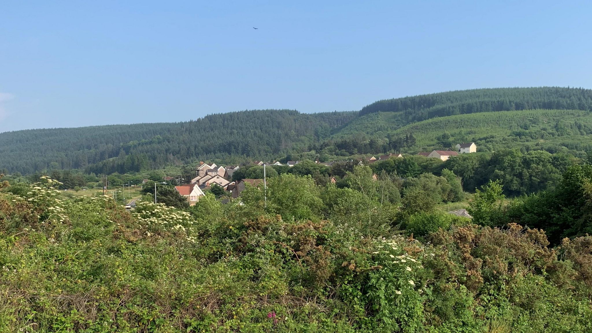 Fferm wynt Y Bryn: Tyrbinau 250m i anharddu ardal Llynfi ac Afan - BBC ...