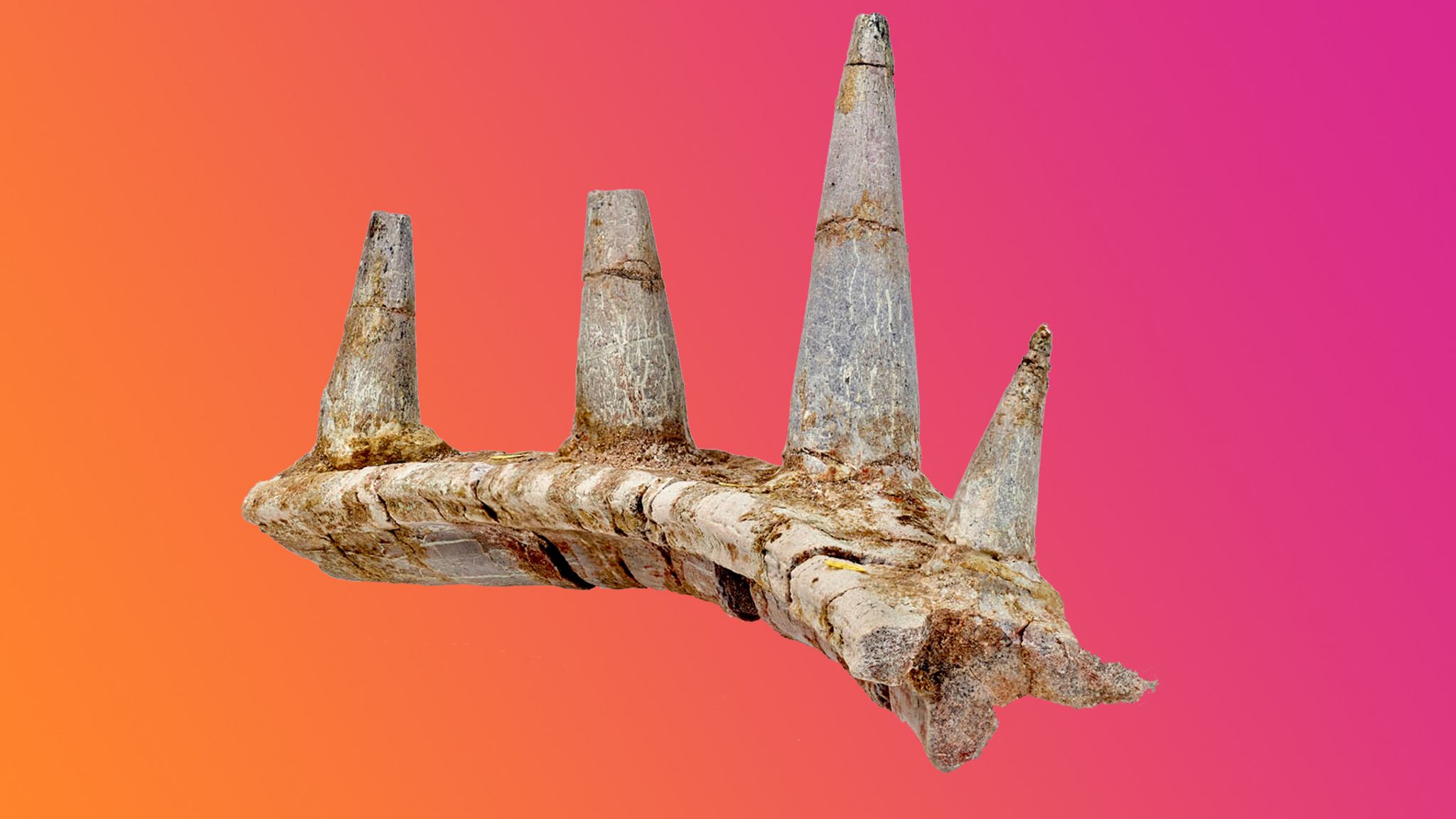 Dinosaurs: Volcanoes may have helped dinos dominate Earth - BBC Newsround