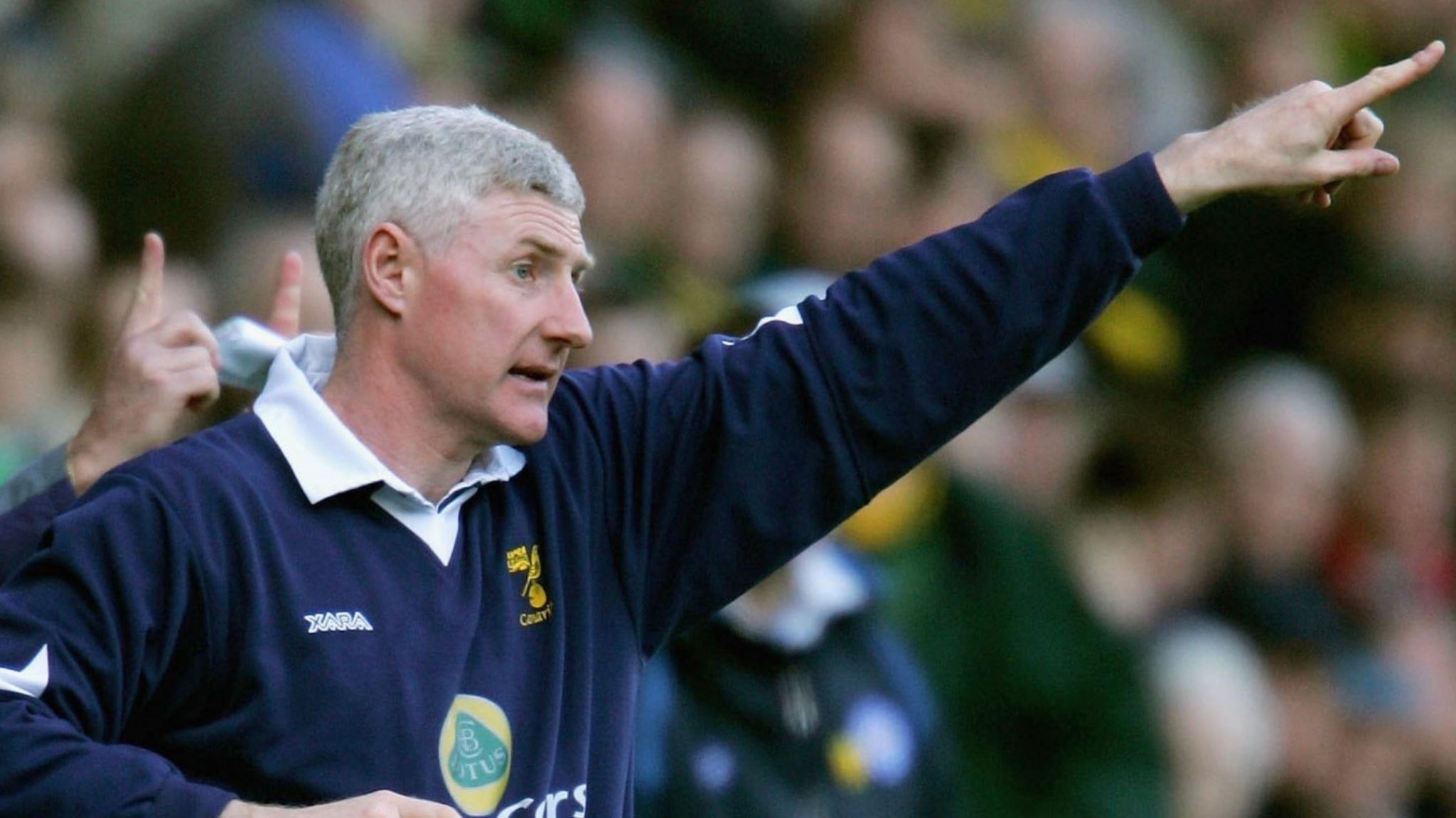 Former Norwich City boss on current team’s play-off chances - BBC Sport
