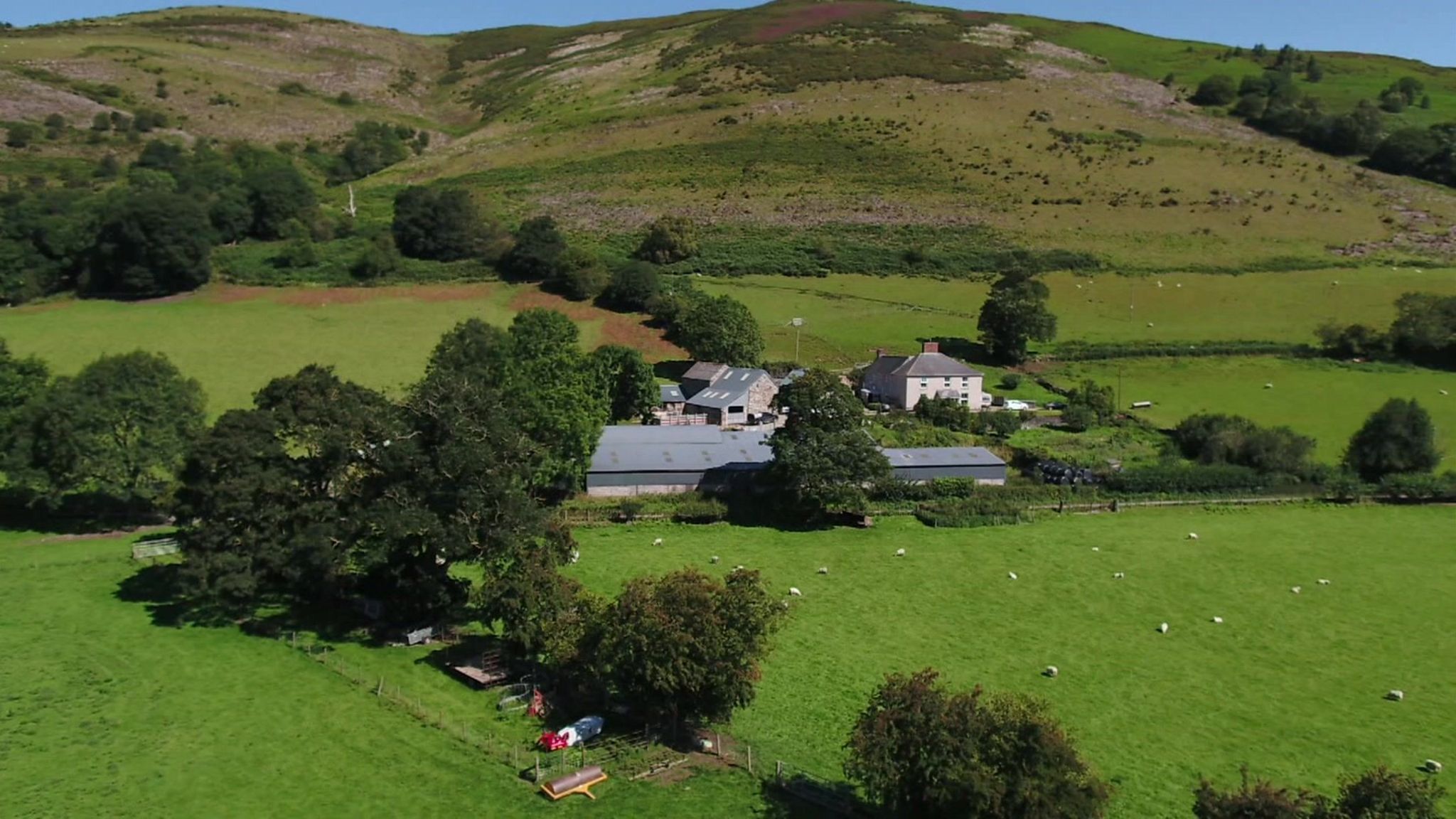 Cofio dau o arwyr tawel yr Eisteddfod Genedlaethol - BBC Cymru Fyw