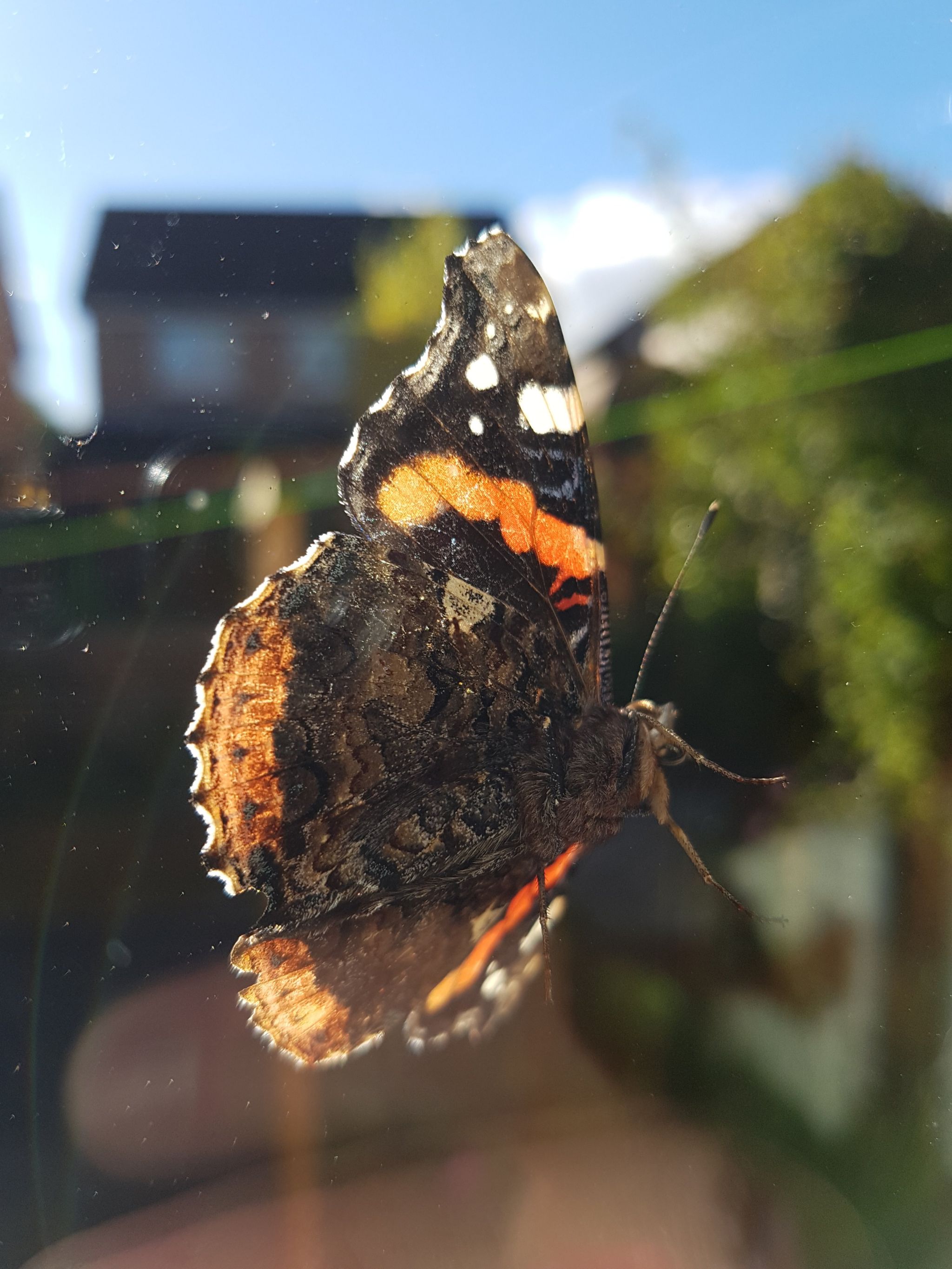 Your pictures of Scotland: 6 October - 13 October - BBC News