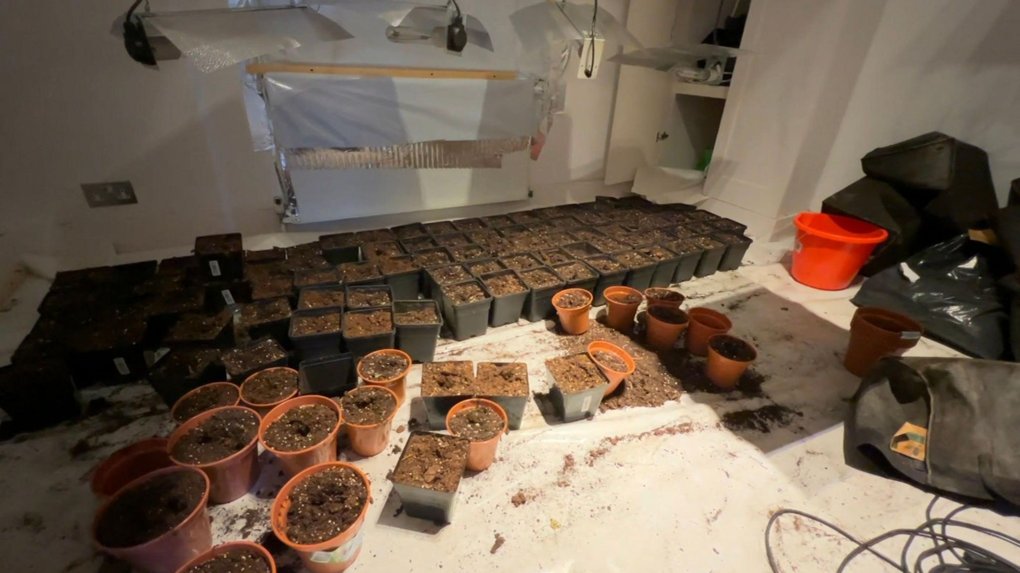 'Cannabis crooks dumped 10 tonnes of soil in my bedroom' - Cannabis ...