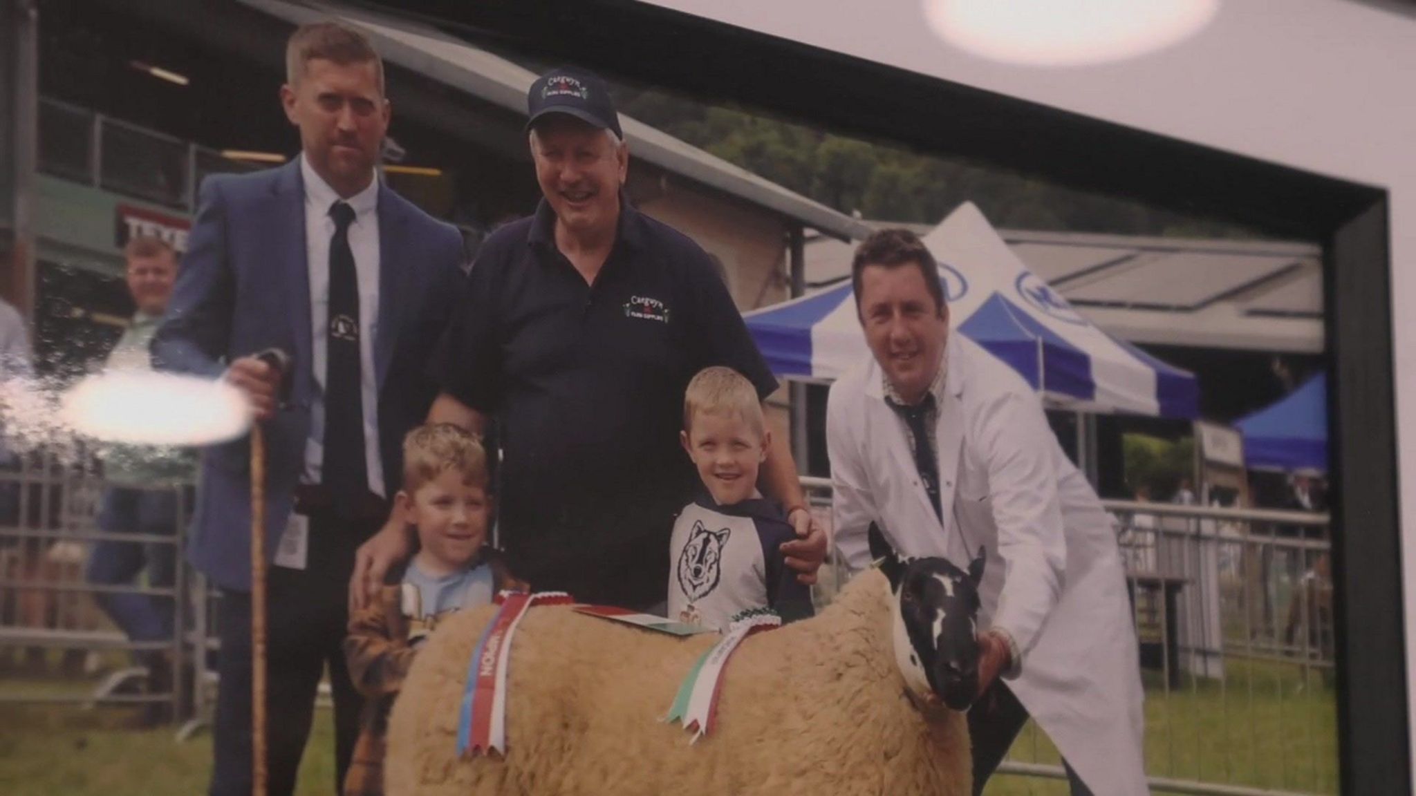 Dros 100 heb le i arddangos defaid yn y Sioe Frenhinol - BBC Cymru Fyw