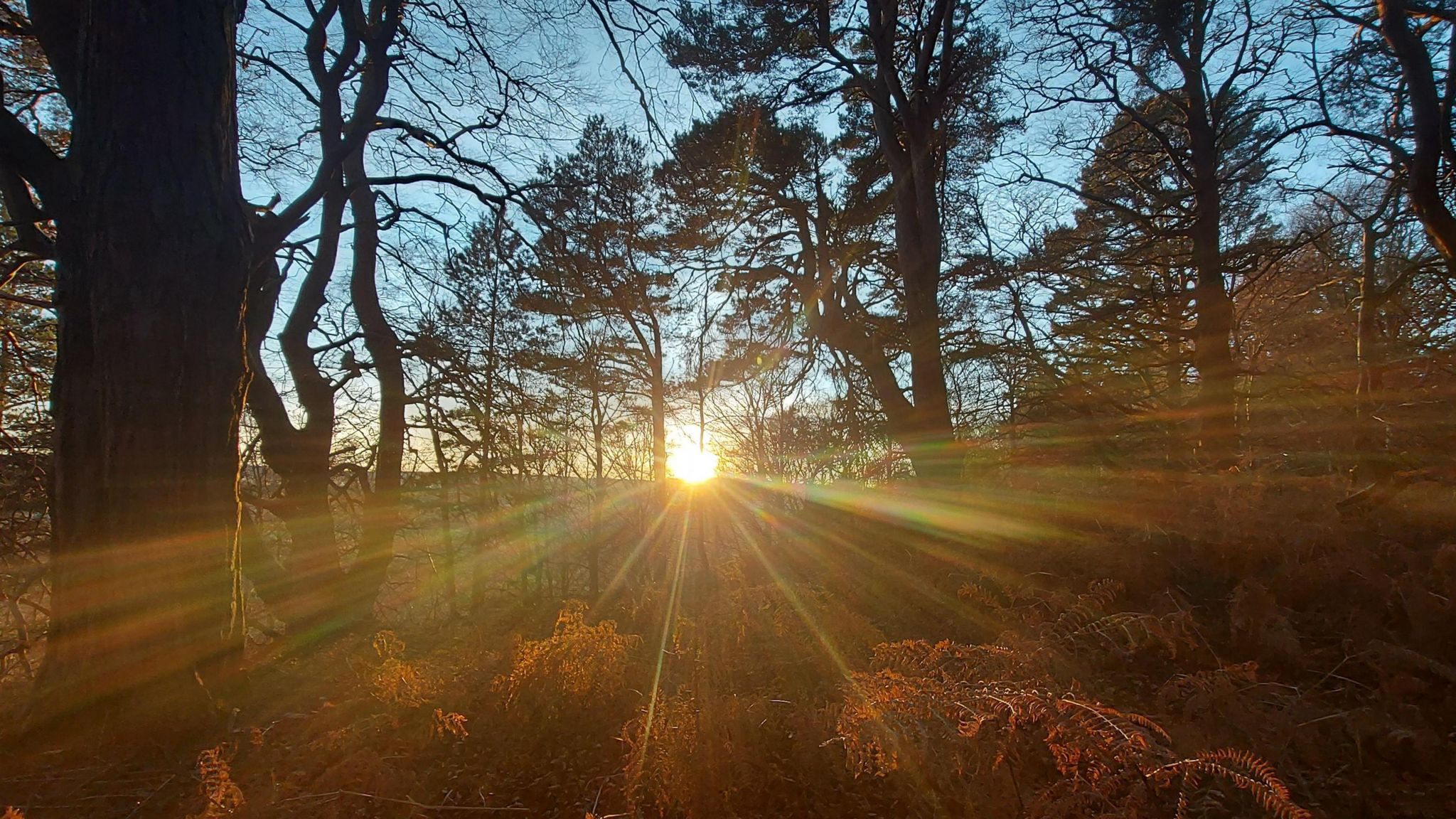 In pictures: Winter solstice across Scotland - BBC News