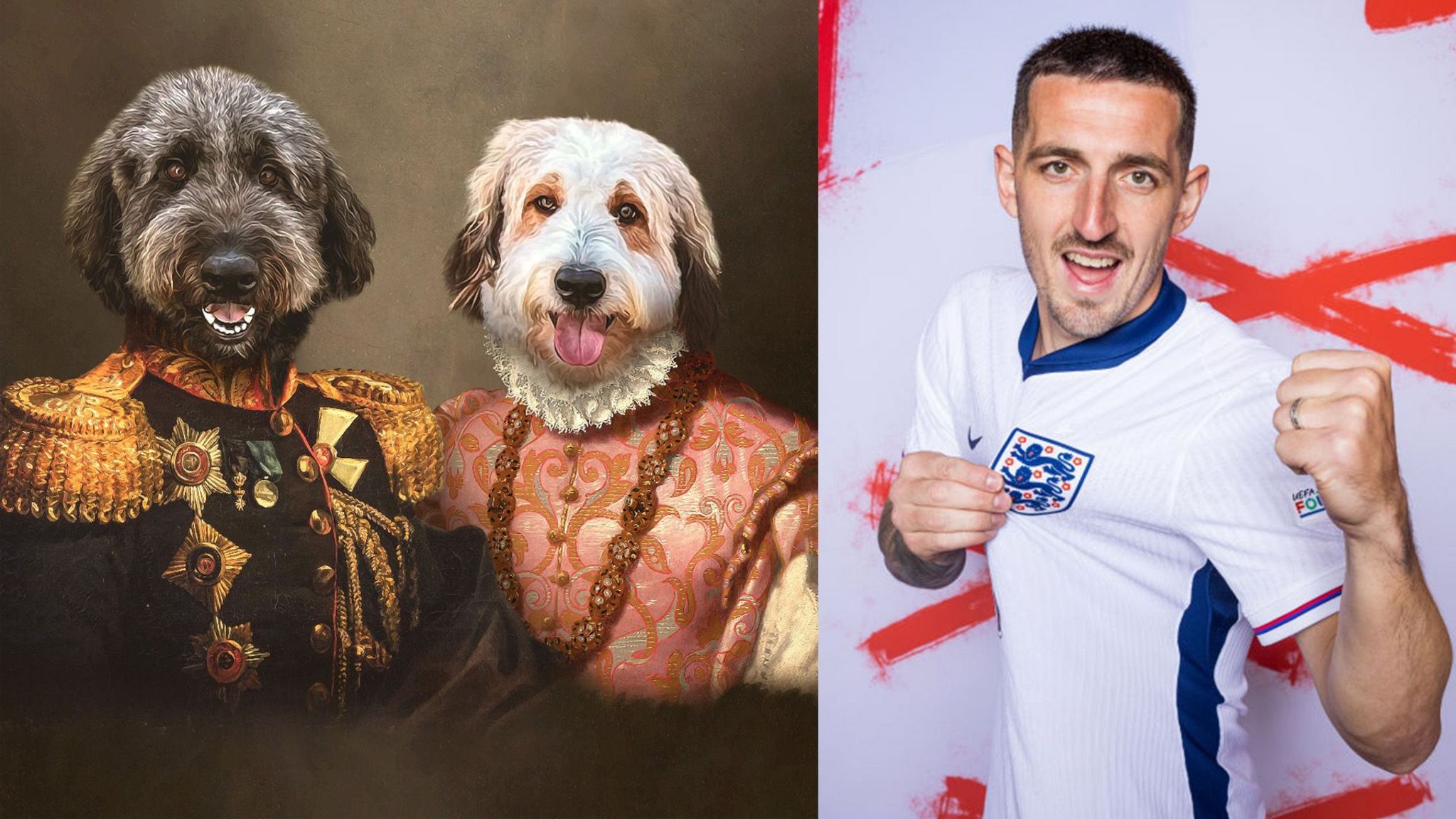 Doting doggy portraits keep England players company - BBC Newsround