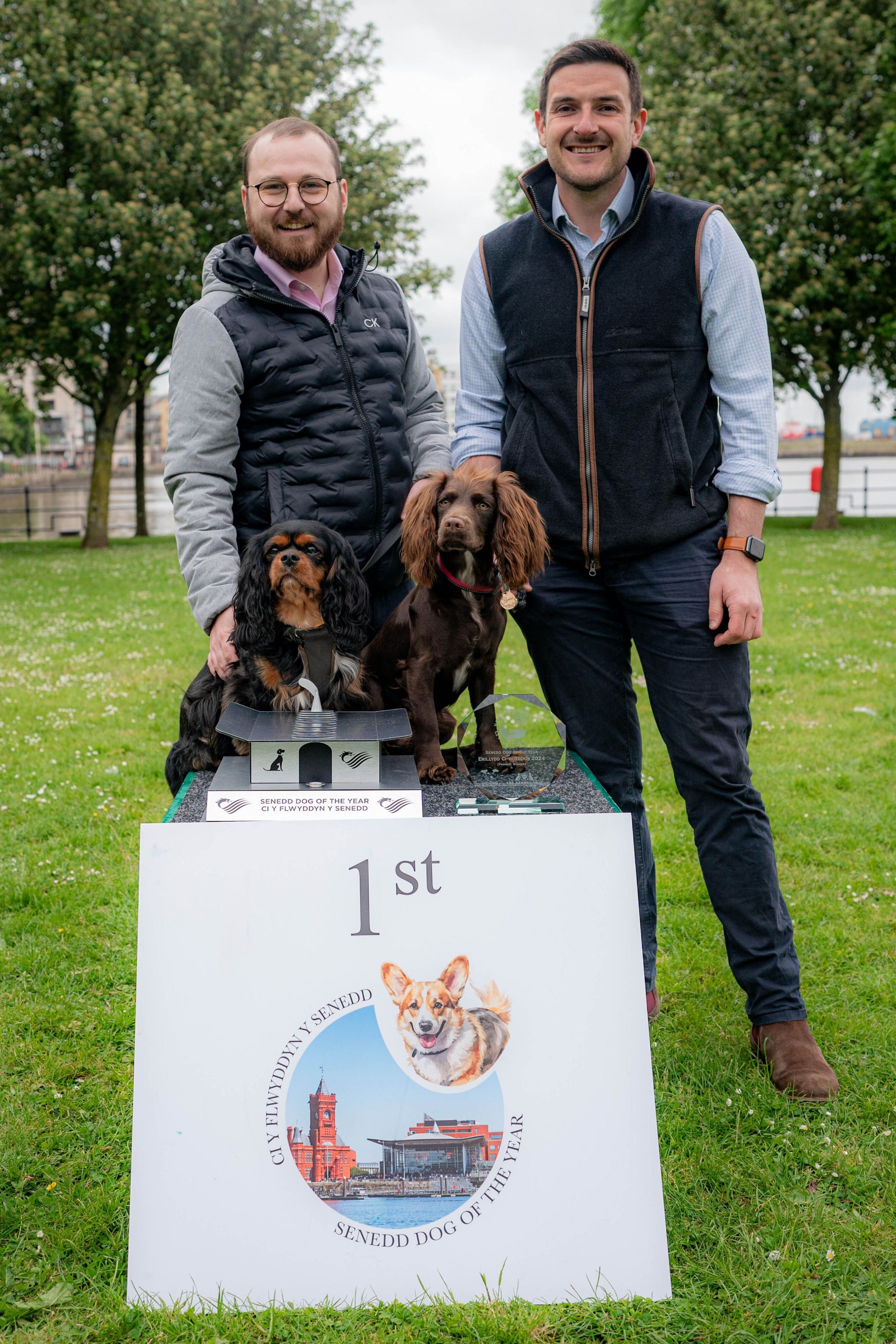Pwy yw Ci y Flwyddyn Senedd Cymru 2024? - BBC Cymru Fyw