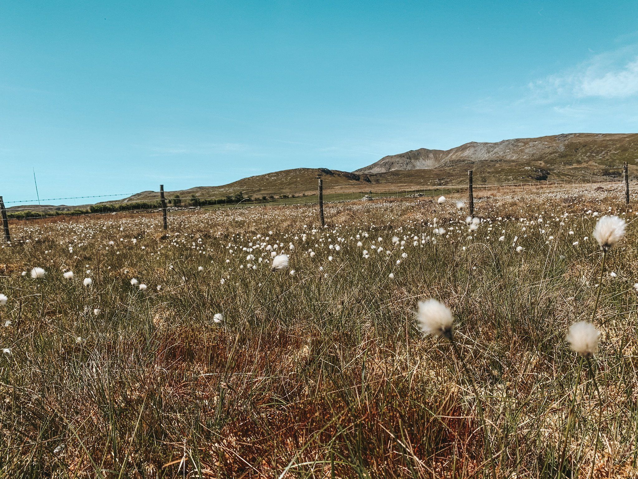 Lle i enaid gael llonydd: Glain Rhys - BBC Cymru Fyw