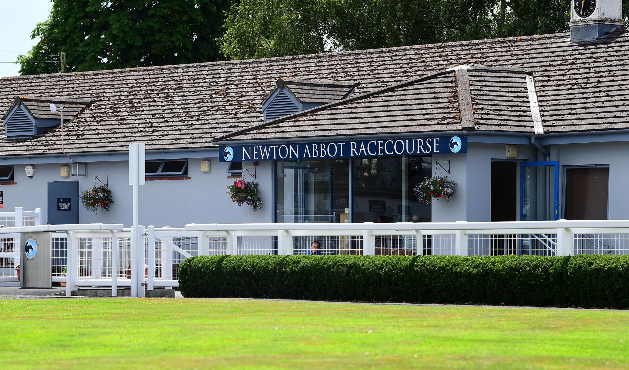 Newton Abbot: BHA inquiry after four horses die at race meeting - BBC Sport