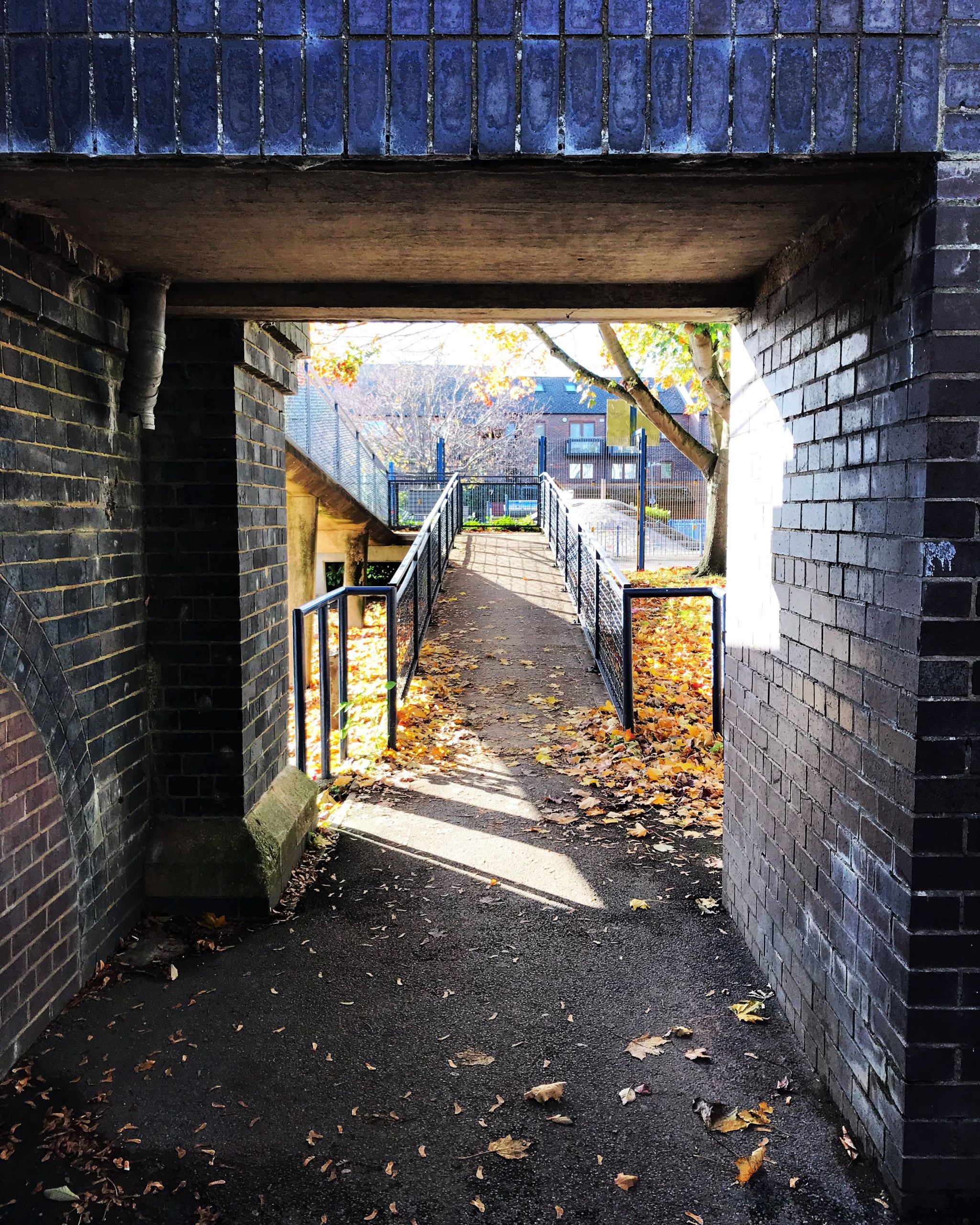 Oxfordshire's Big Picture - BBC News