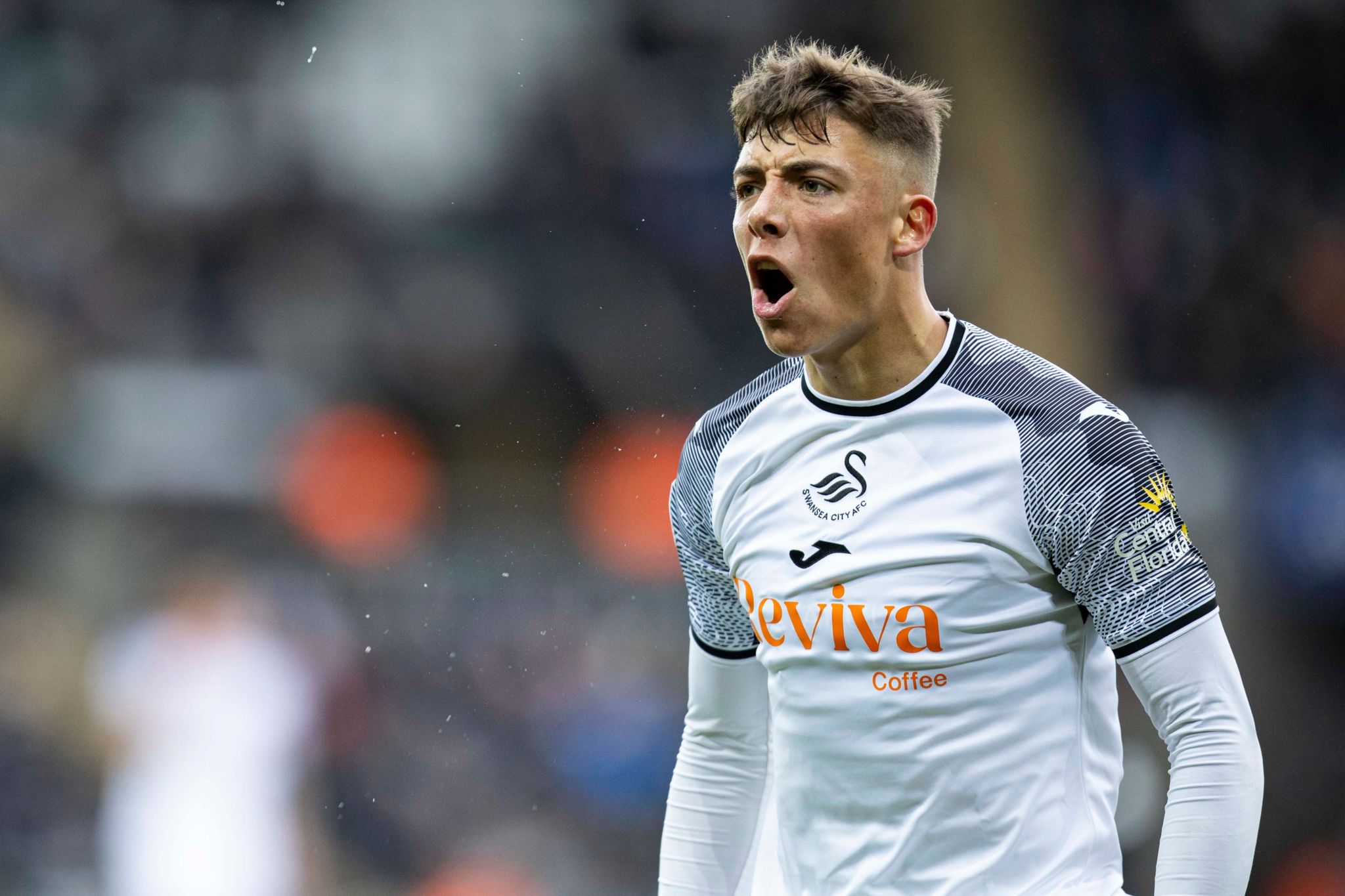 Harrison Ashby: Injury blow for Swansea City - BBC Sport