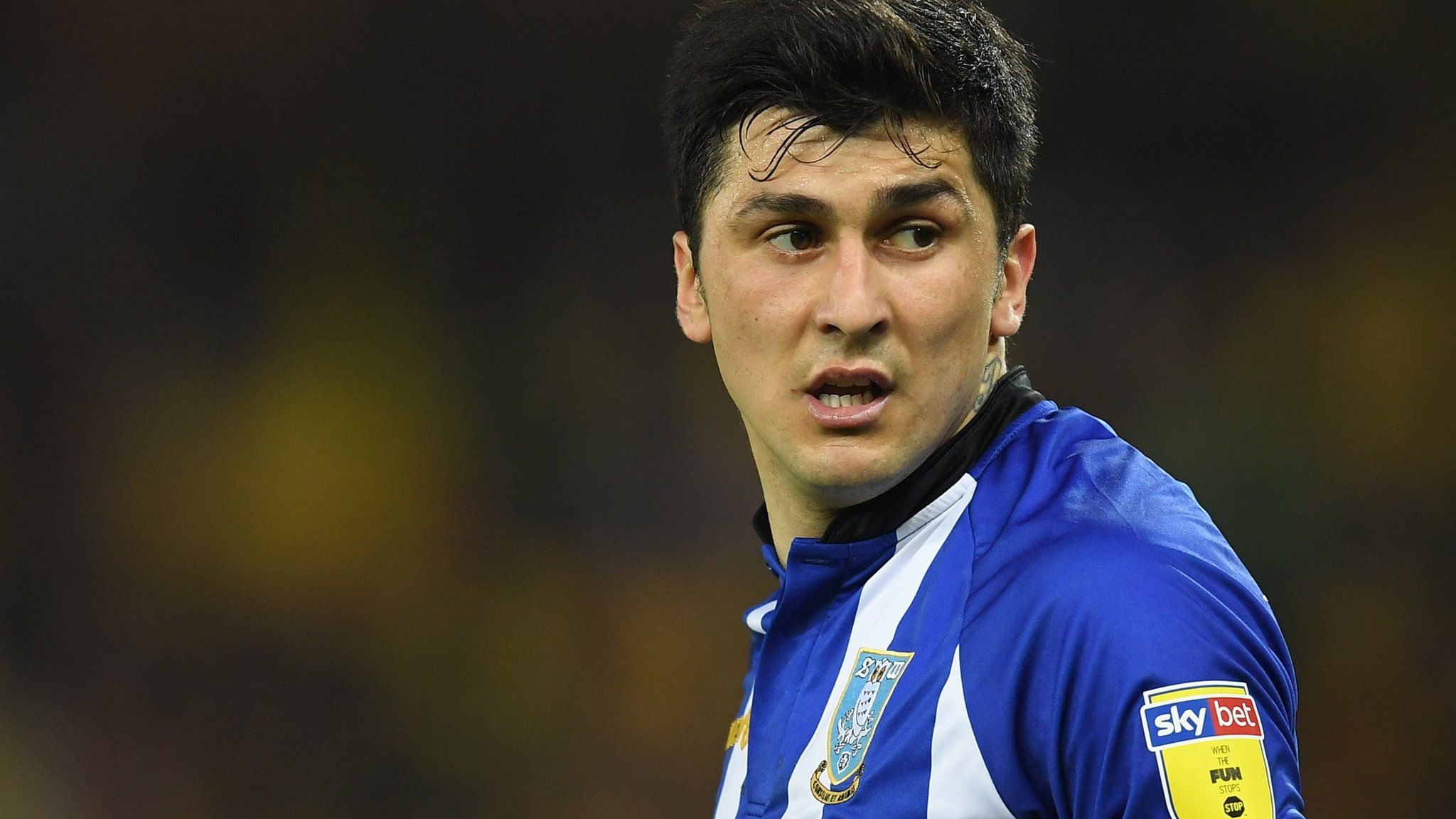 Fernando Forestieri: Sheffield Wednesday forward gets six-match ban for ...