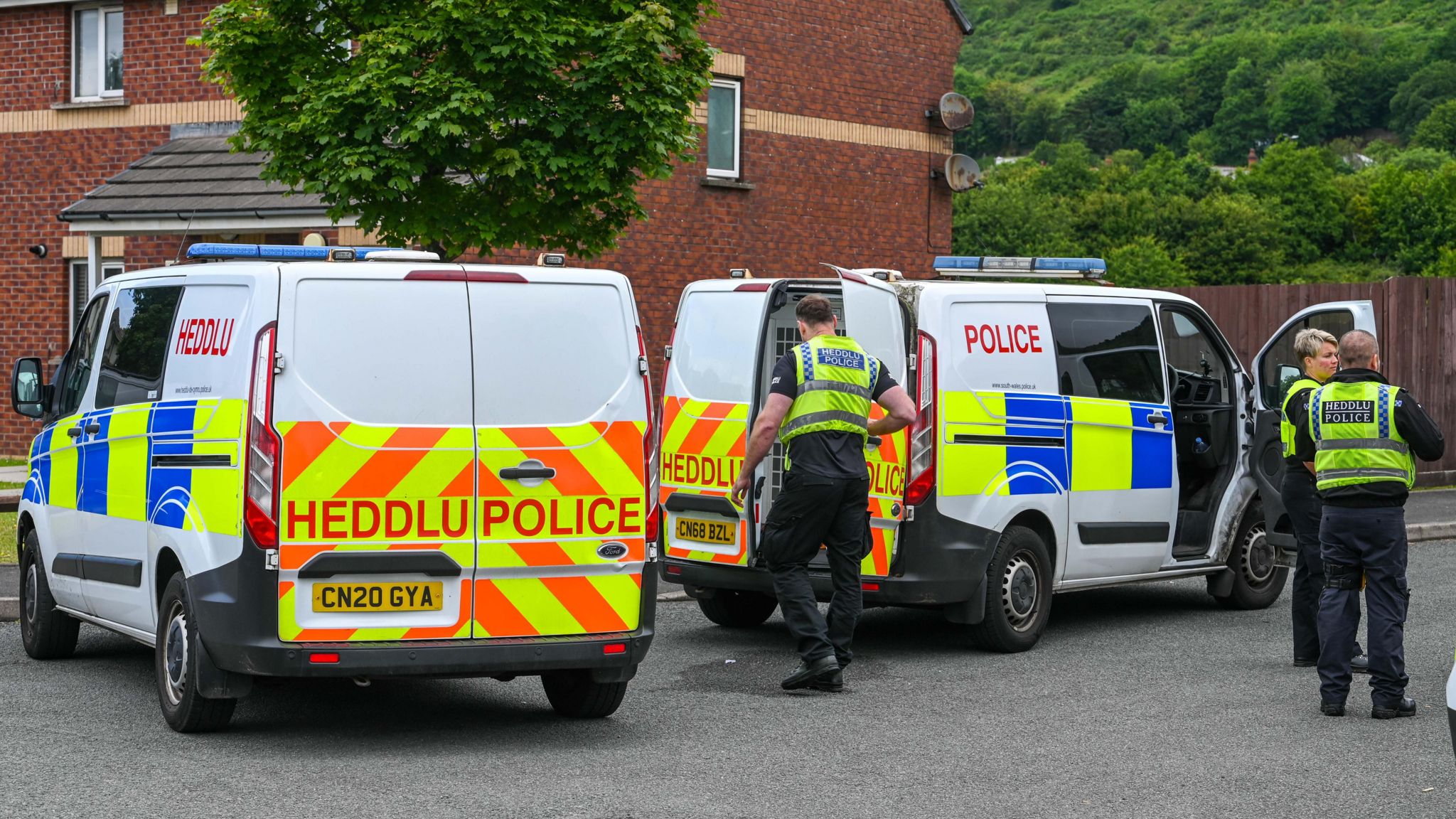 Dyn 24 oed yn yr ysbyty wedi ymosodiad gan gi - BBC Cymru Fyw