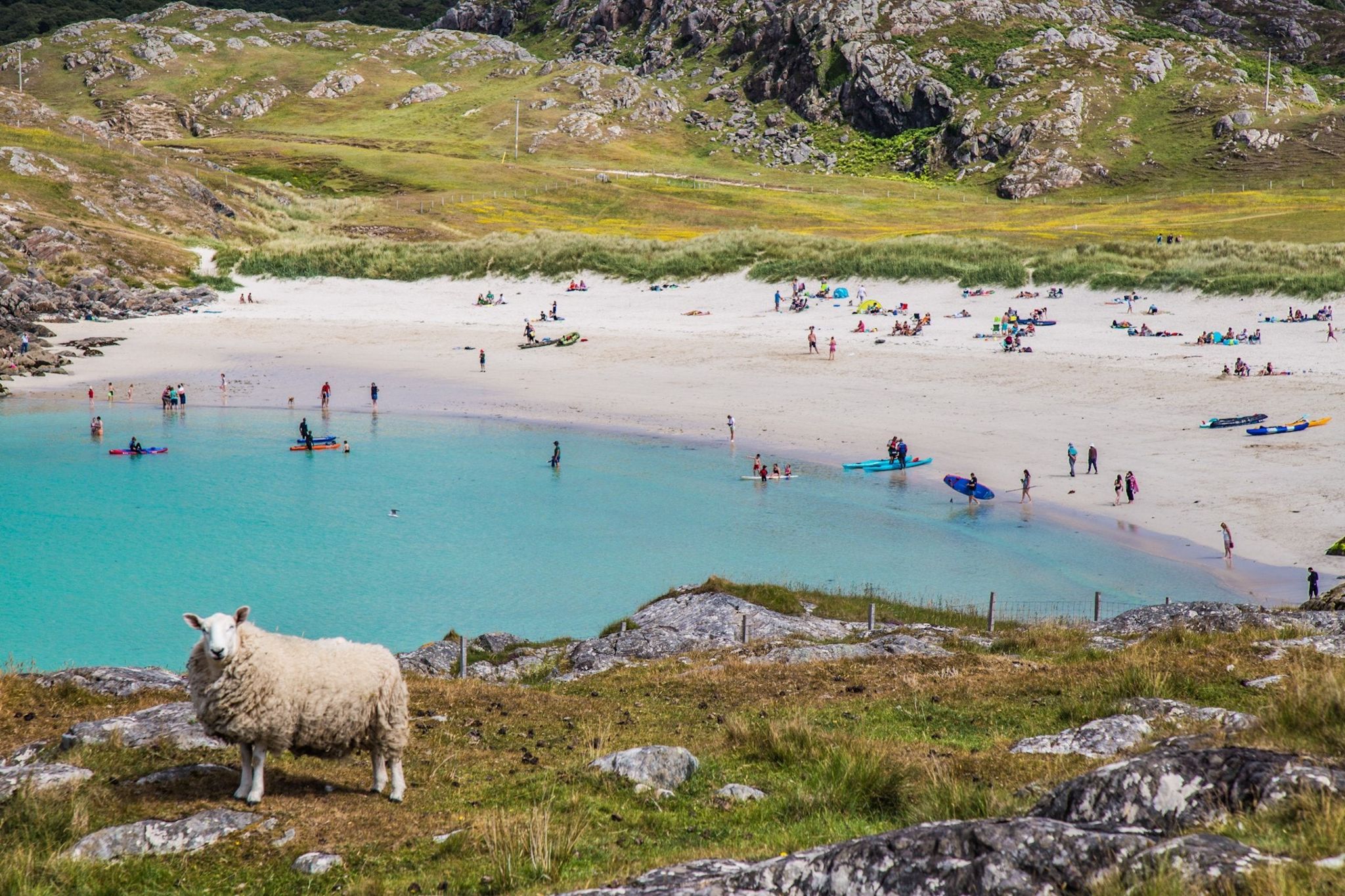 A year of your pictures of Scotland - BBC News