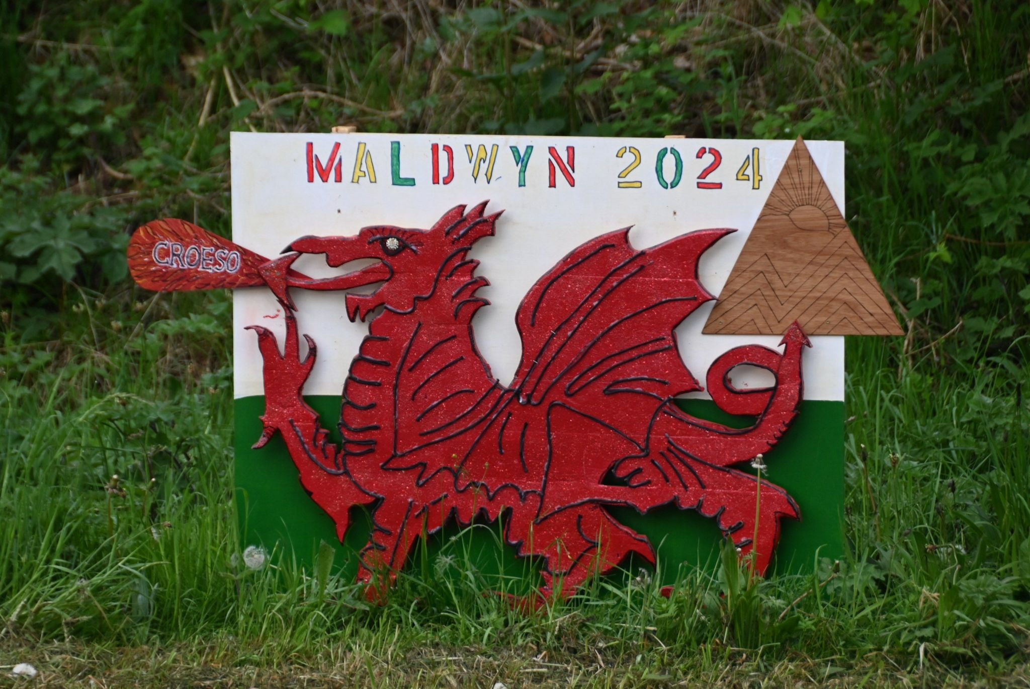 Lluniau: Mistar Urdd ym Maldwyn - BBC Cymru Fyw