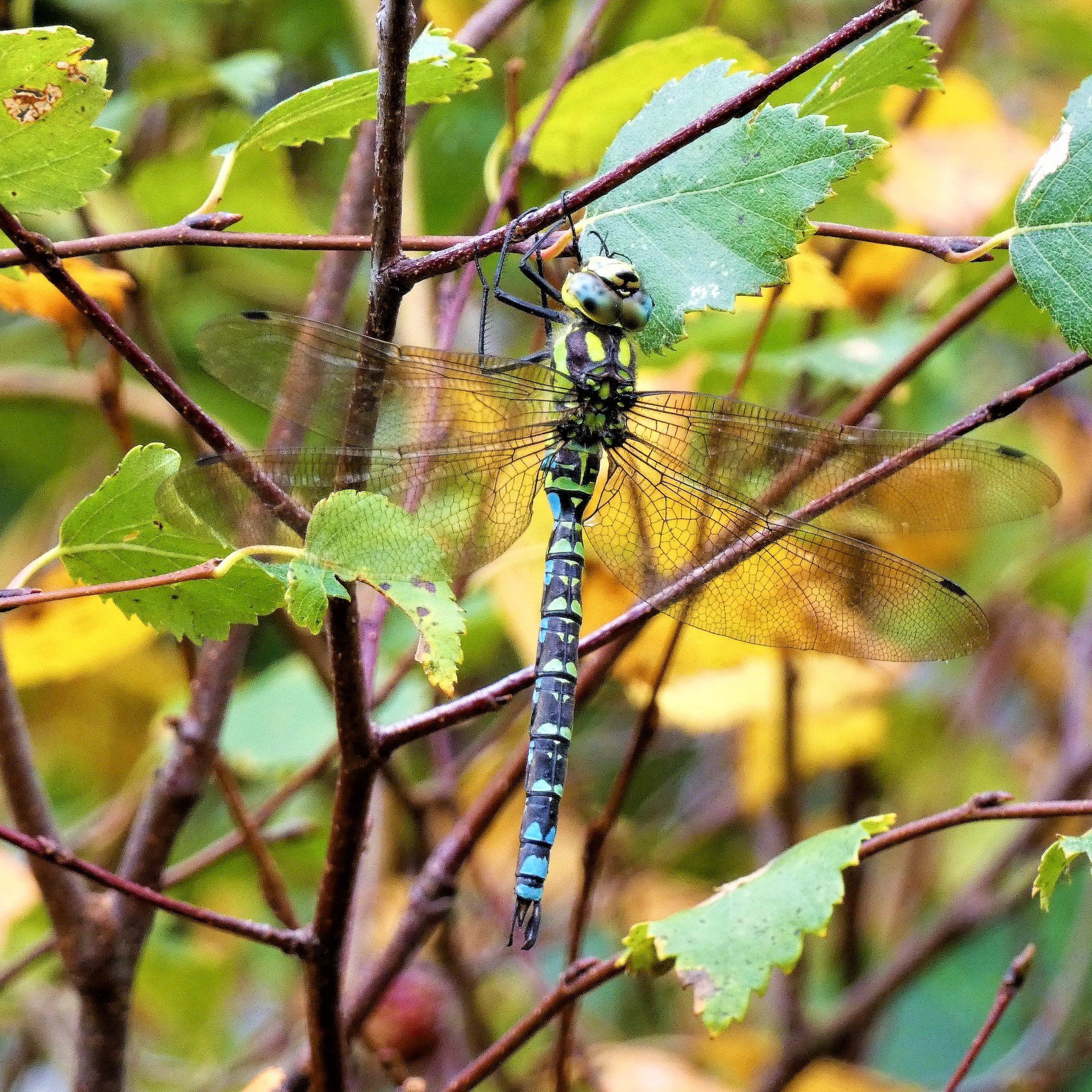 Your pictures of Scotland: 6 October - 13 October - BBC News