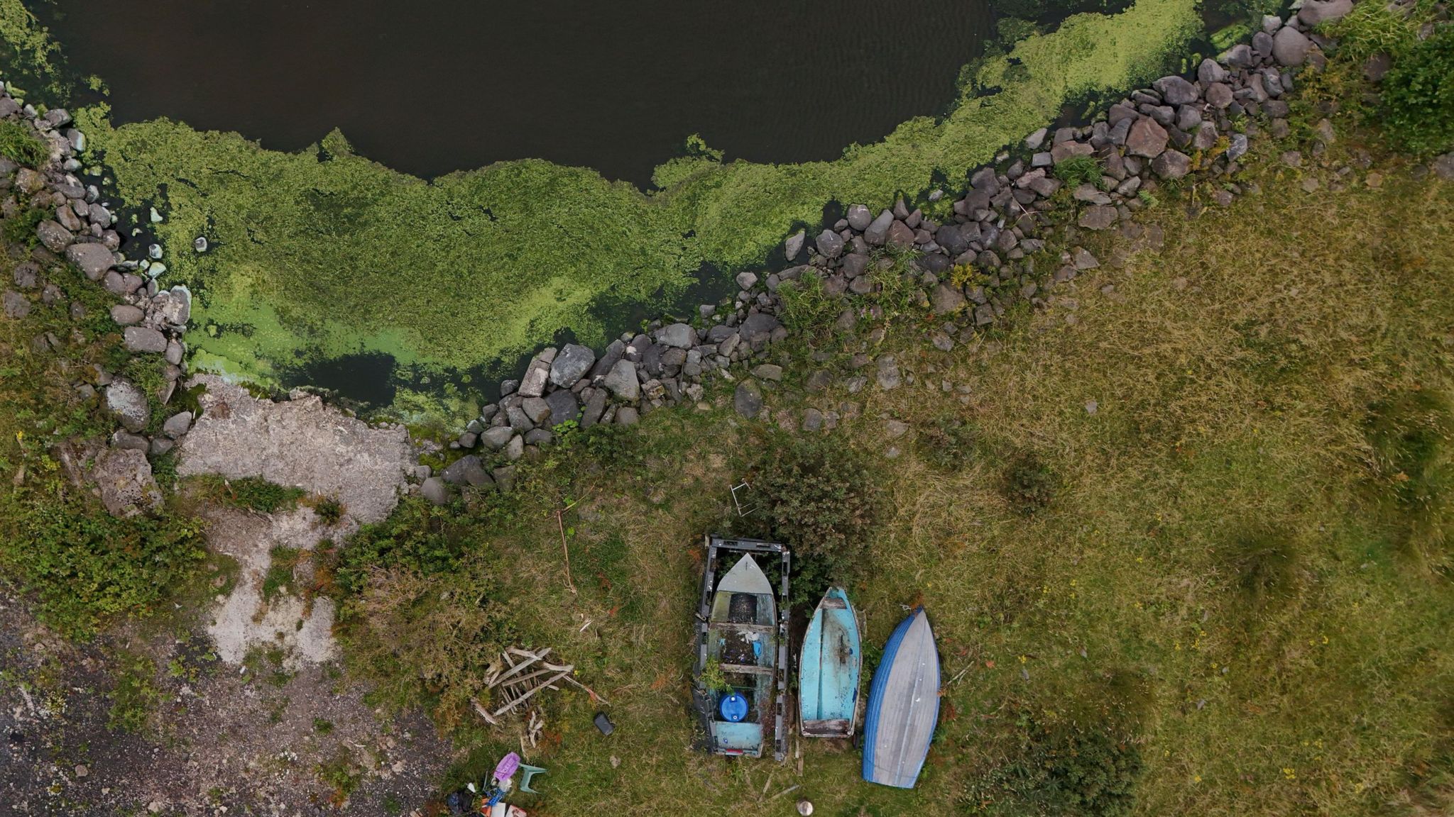 Lough Neagh: Project launched to tackle blue-green algae - BBC News