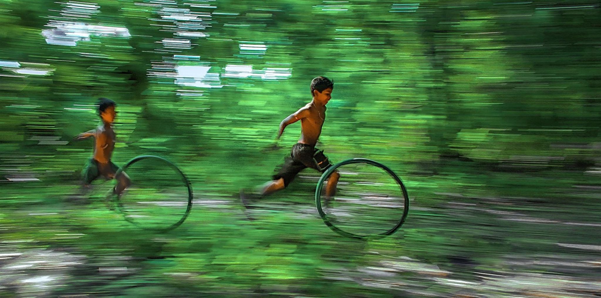 LCE photographer of the year 2024: Anti-gravity dog and thirsty wasps ...