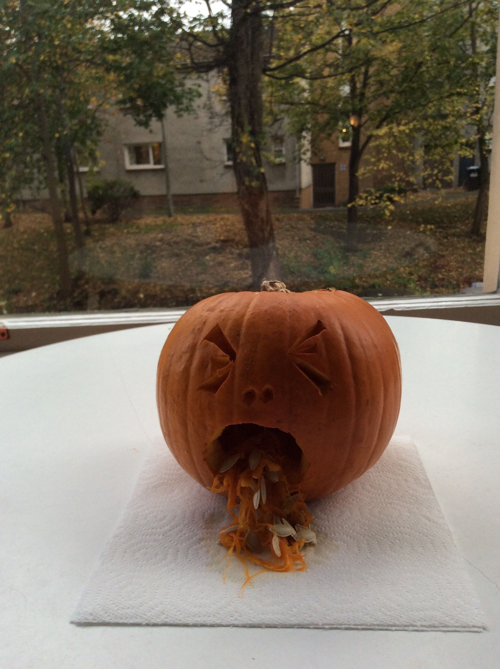 Your pump-tastic pumpkin pictures! - BBC Newsround