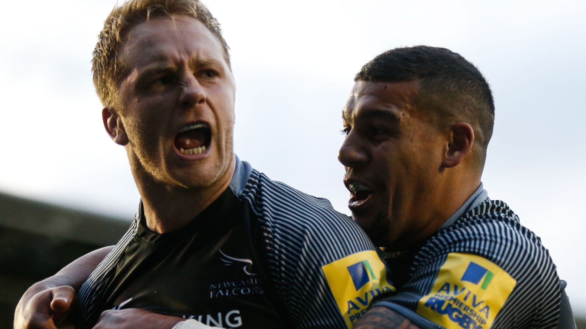 Jake Ilnicki: Newcastle Falcons sign Canada prop after injuries to pair ...