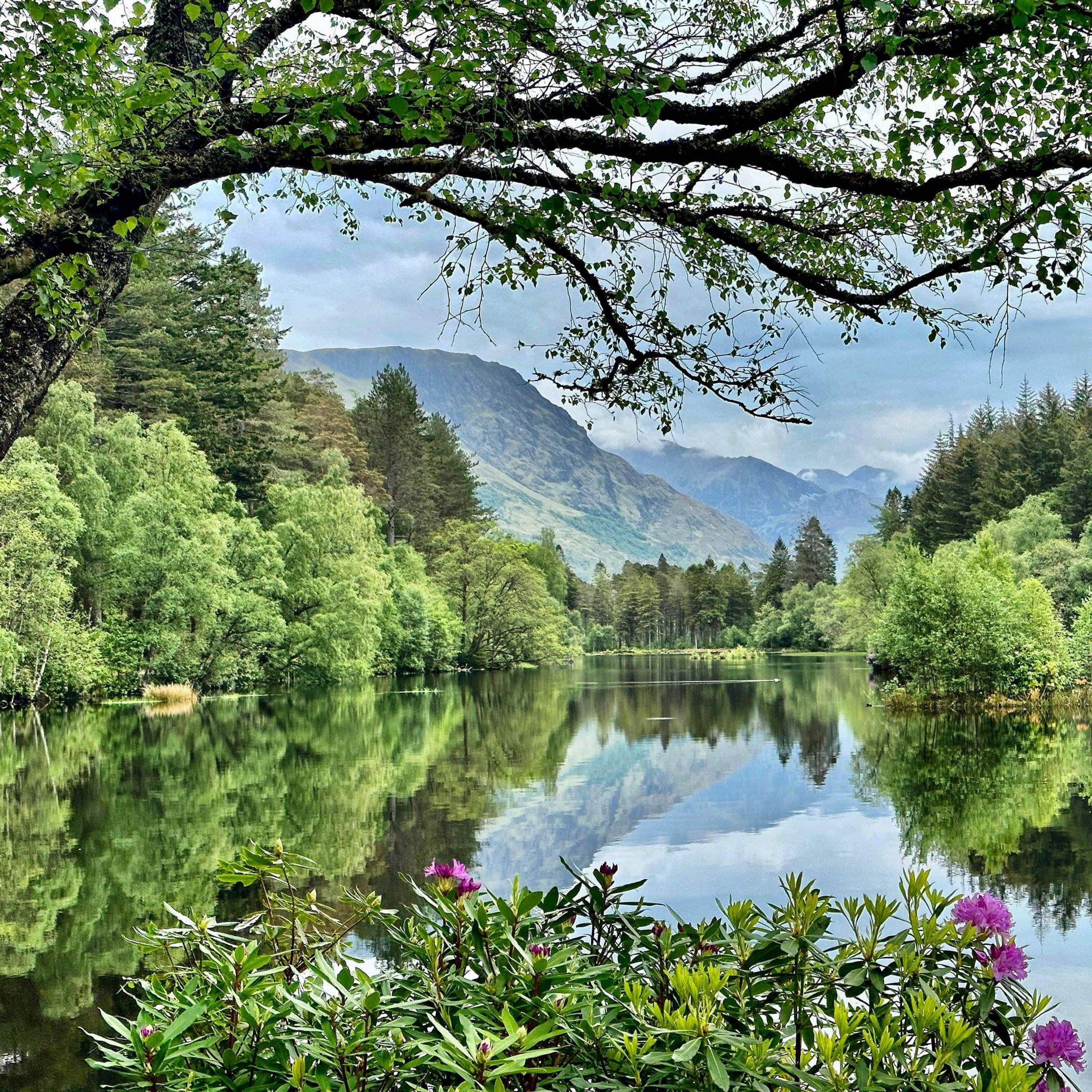 Your pictures of Scotland: Photographs from around the country - BBC News