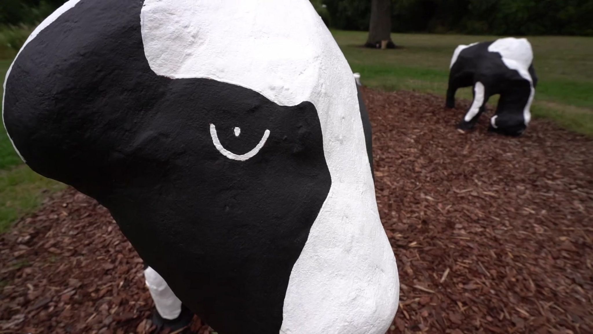Milton Keynes concrete cows repainted - BBC News