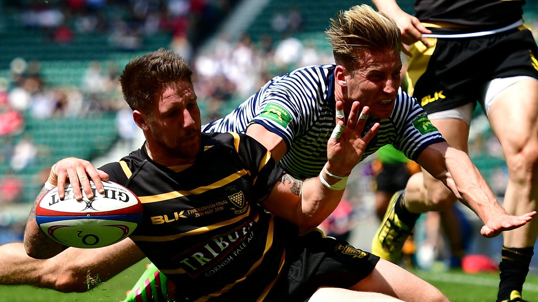 Dog 'eats' rugby player Matt Shepherd's passport - BBC News