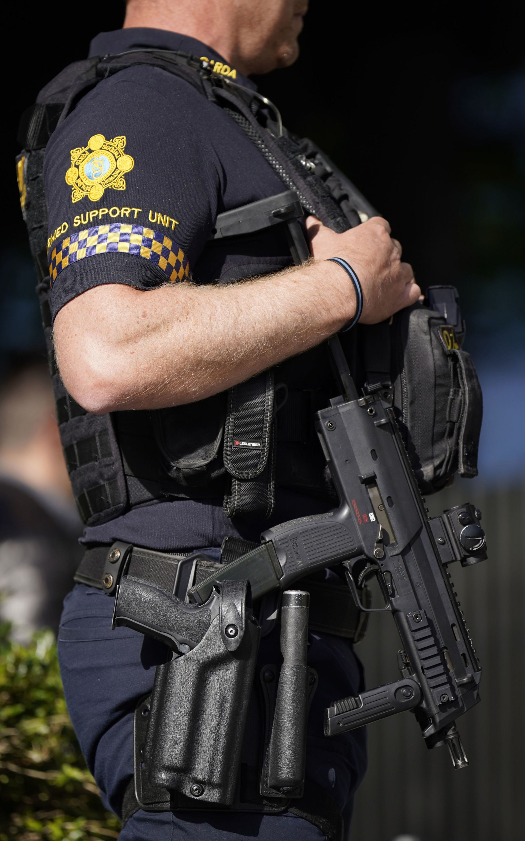 Dublin attacks: Armed Gardaí, dog units and checkpoints planned - BBC News