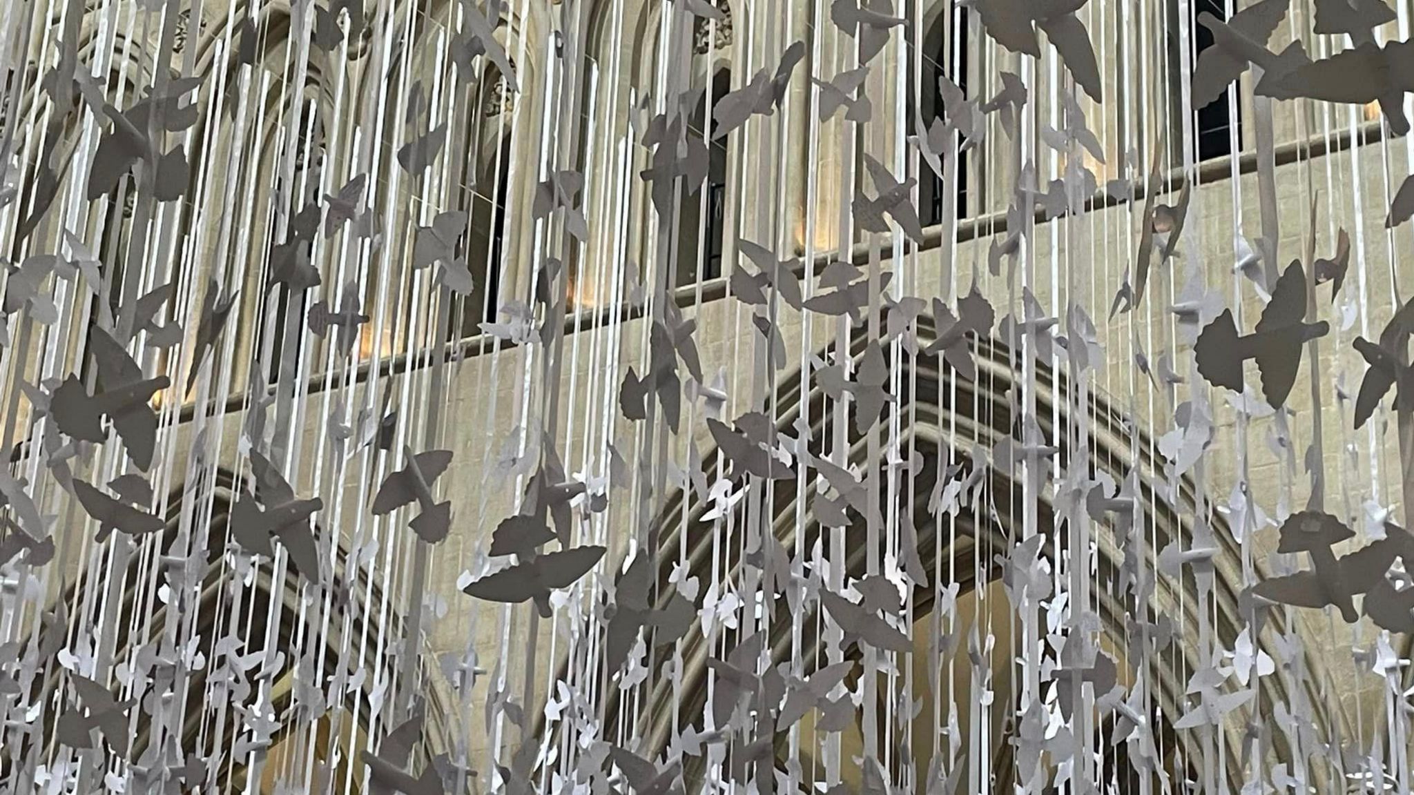 Peace Doves exhibition visits Wells Cathedral - BBC News
