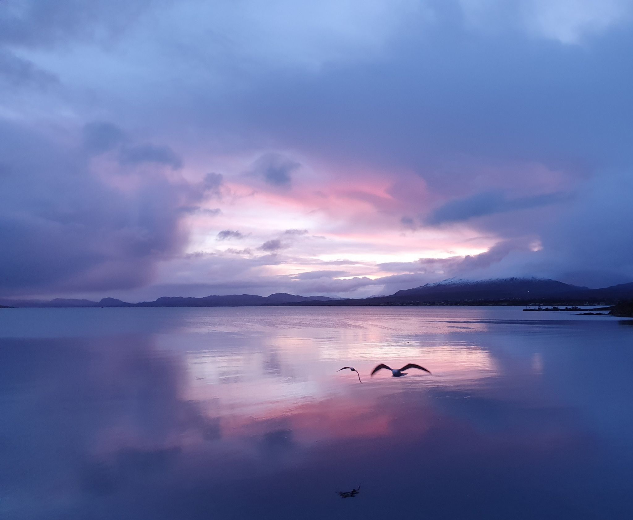 Your pictures of Scotland: Photographs from around the country - BBC News