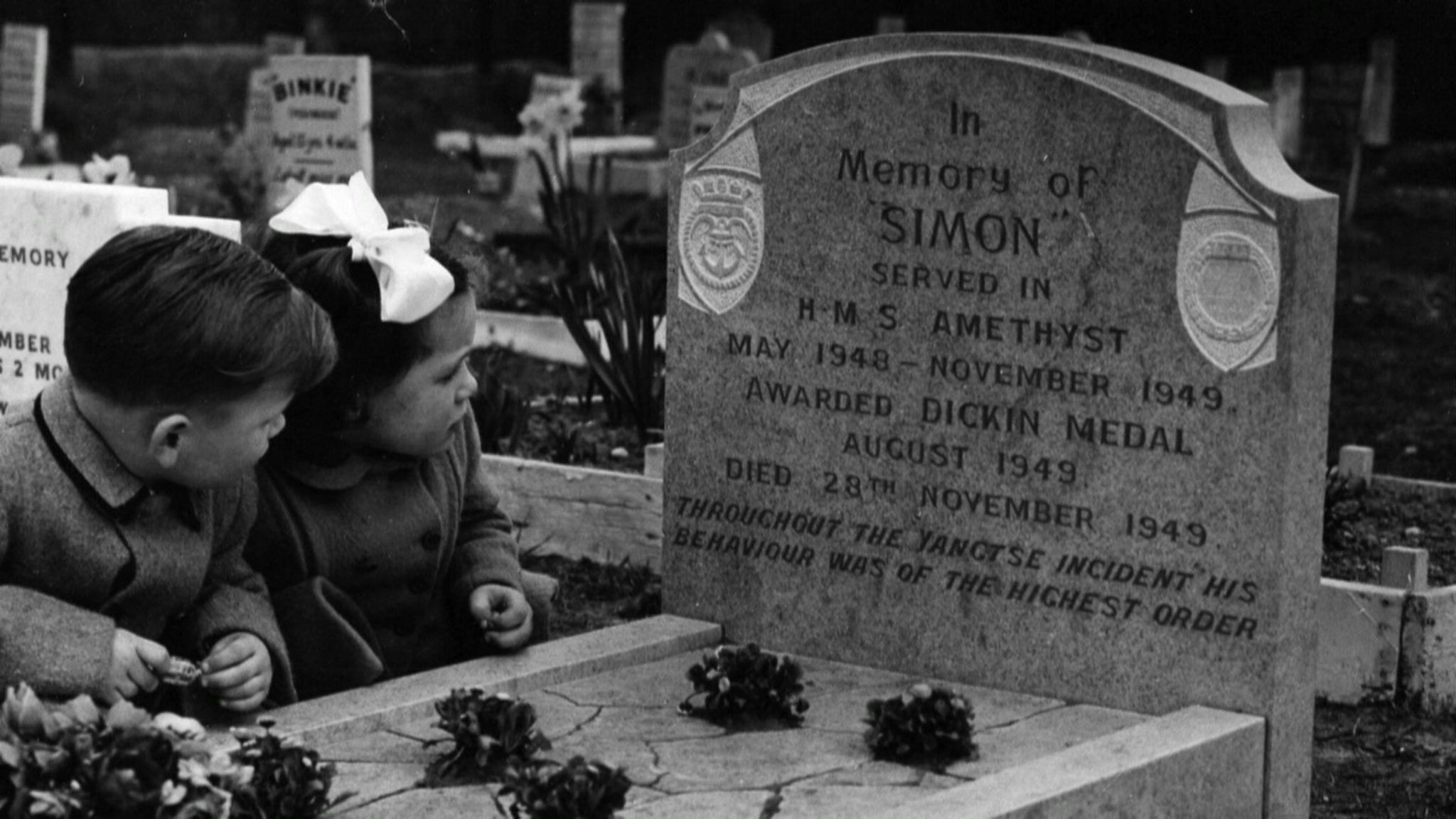 Remembered: Simon the hero rat-catching navy cat - BBC News