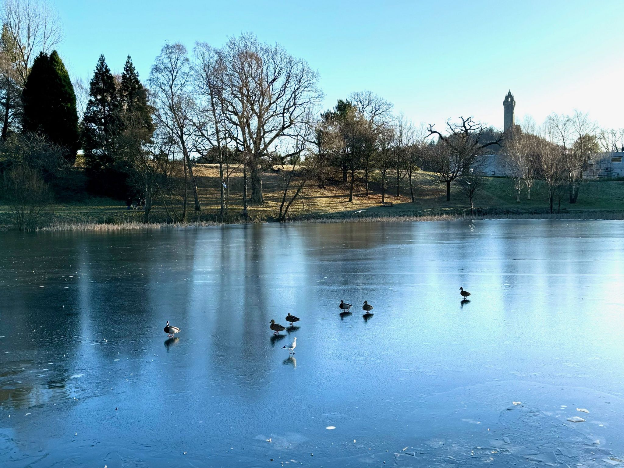 Your pictures of Scotland: Photographs from around the country - BBC News