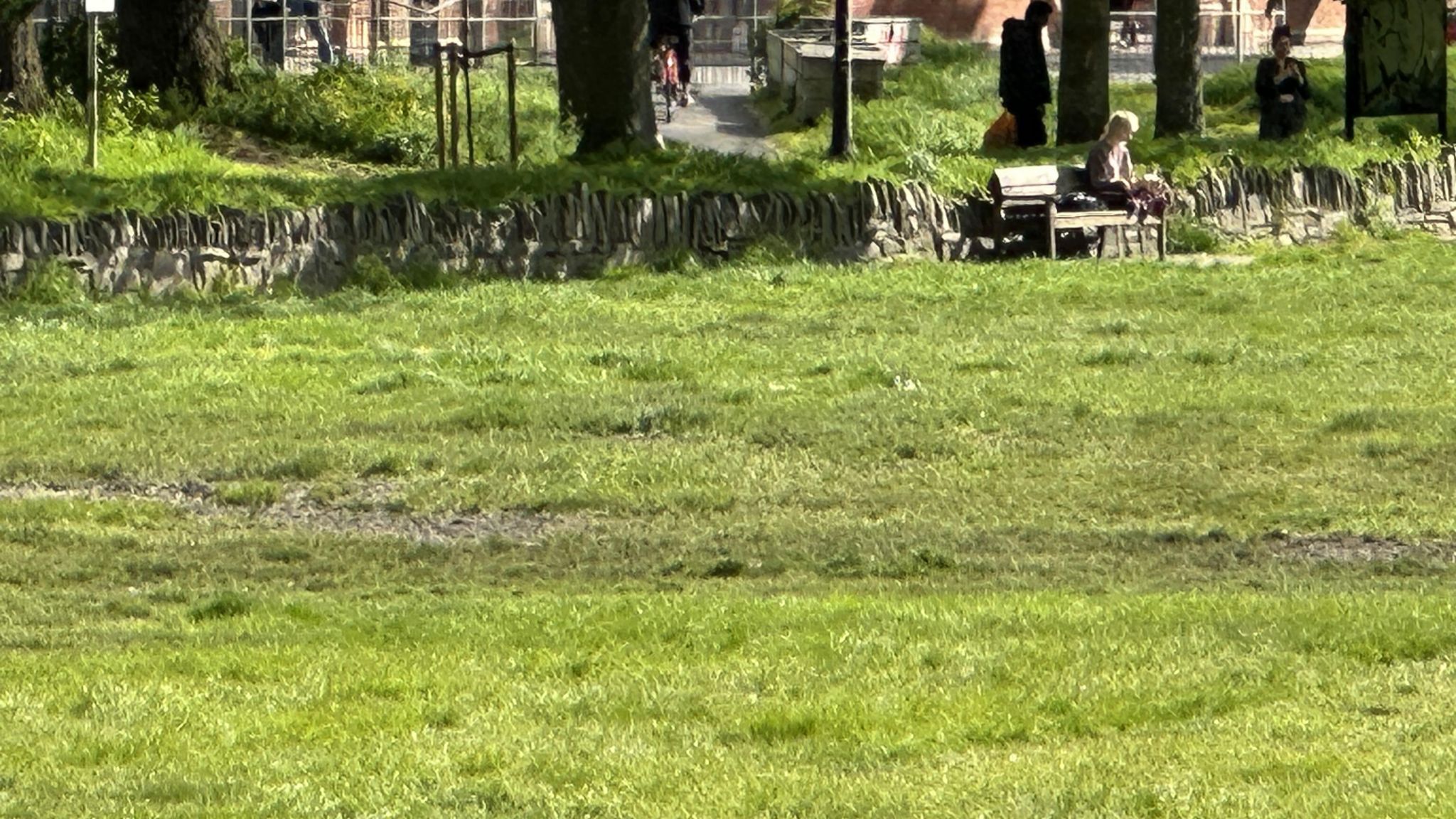 Brighton playing fields left 'a quagmire' after fun fair - BBC News