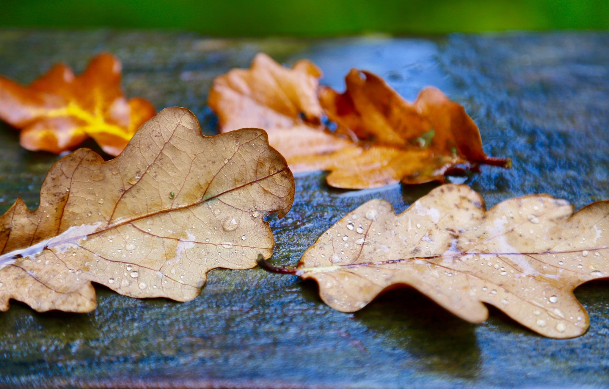 Your pictures of Scotland: 6 October - 13 October - BBC News