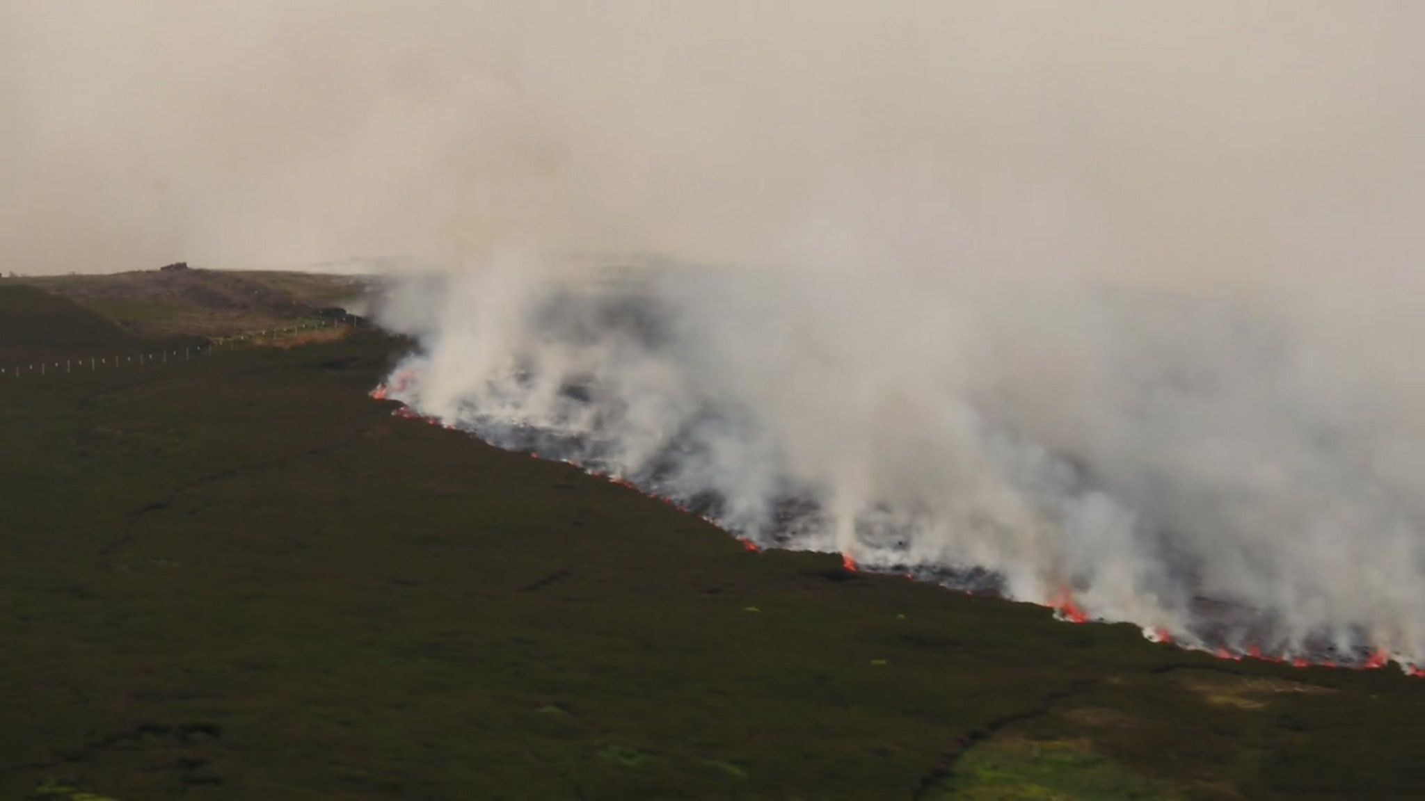 Sweden calls for international help to fight forest fires - BBC Newsround