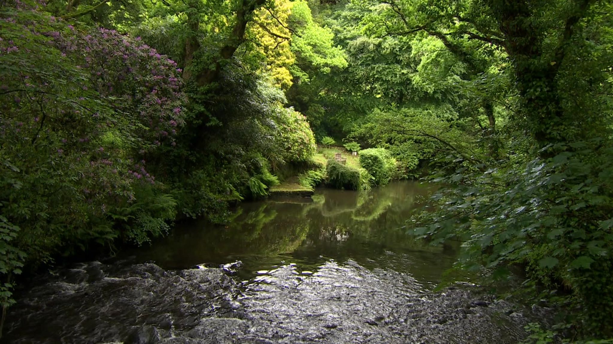 Couple's vessel grounded in River Fowey for hours - BBC News