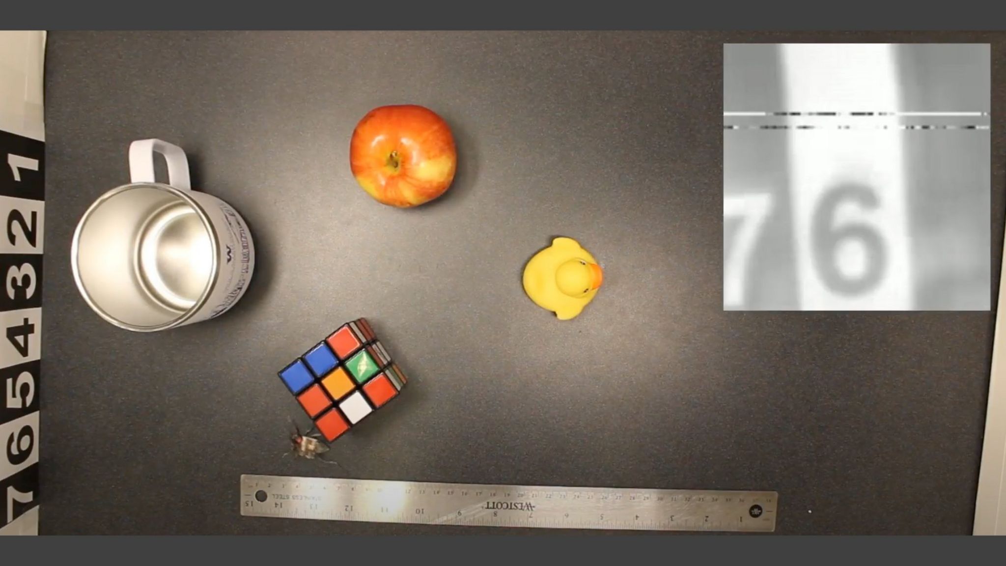 Beetle-mounted camera streams insect adventures - BBC News