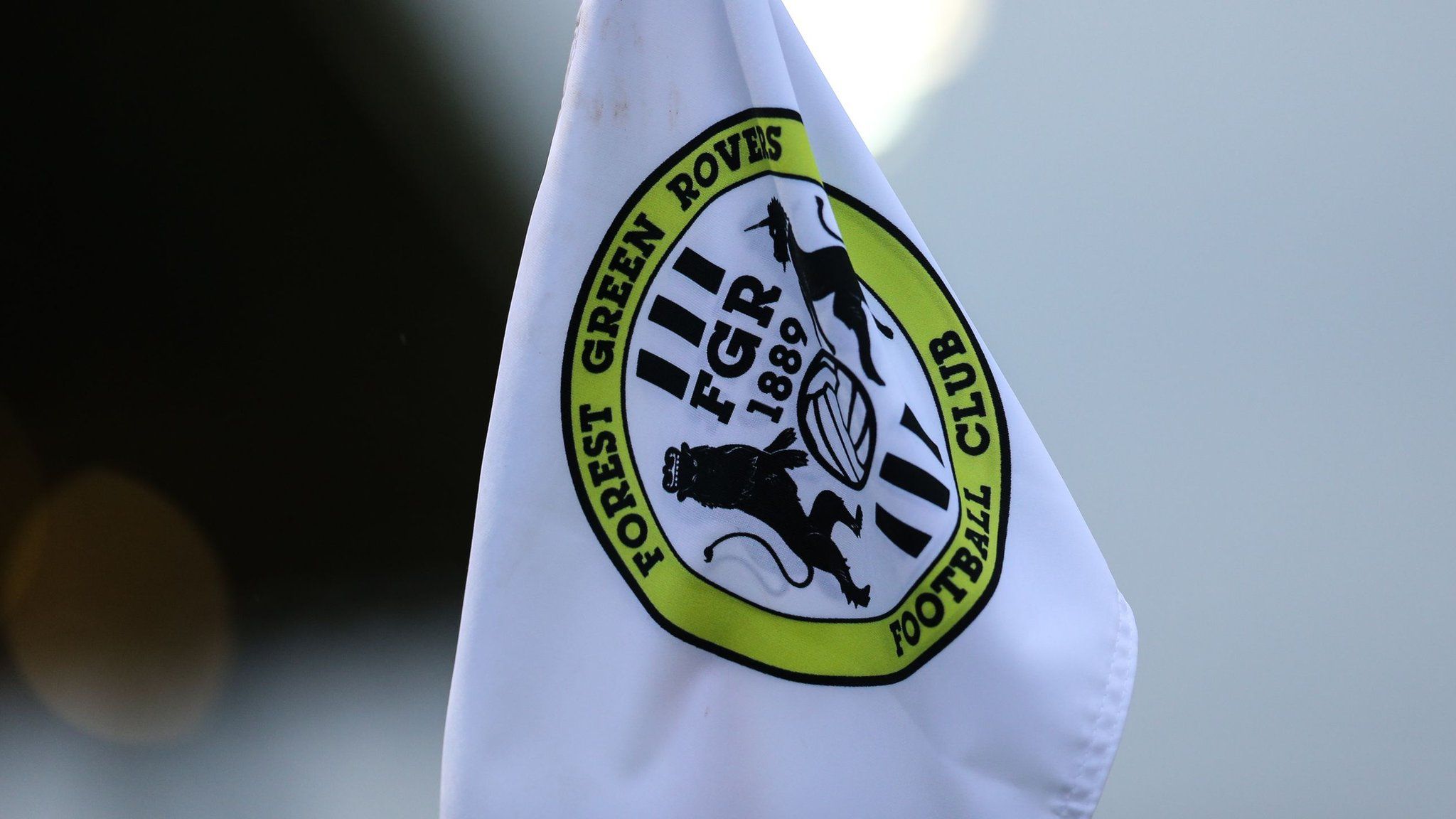Forest Green Rovers' wooden stadium plan 'not sustainable' - BBC News
