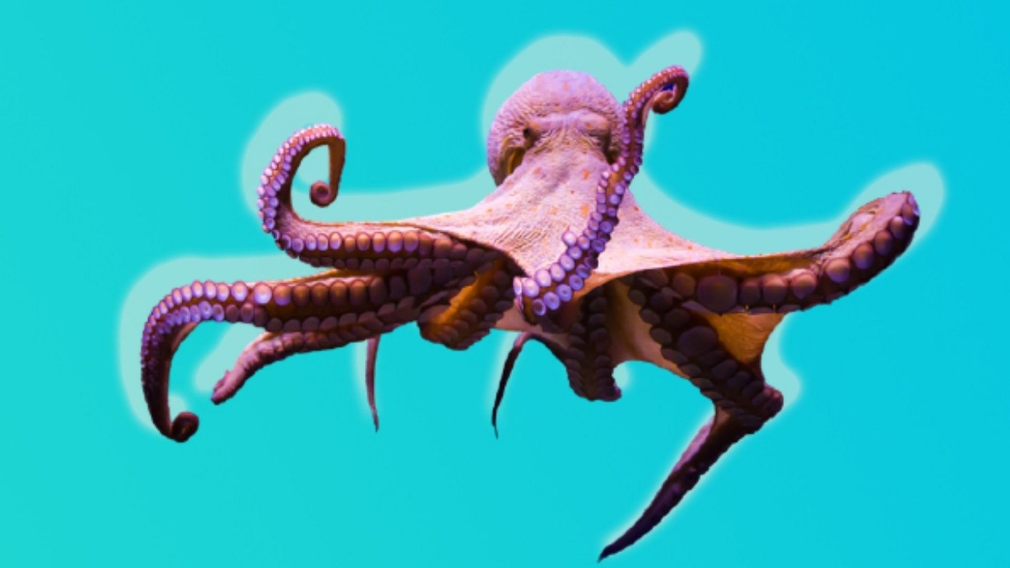 Colour changing ink invented by scientists at Hong Kong University ...